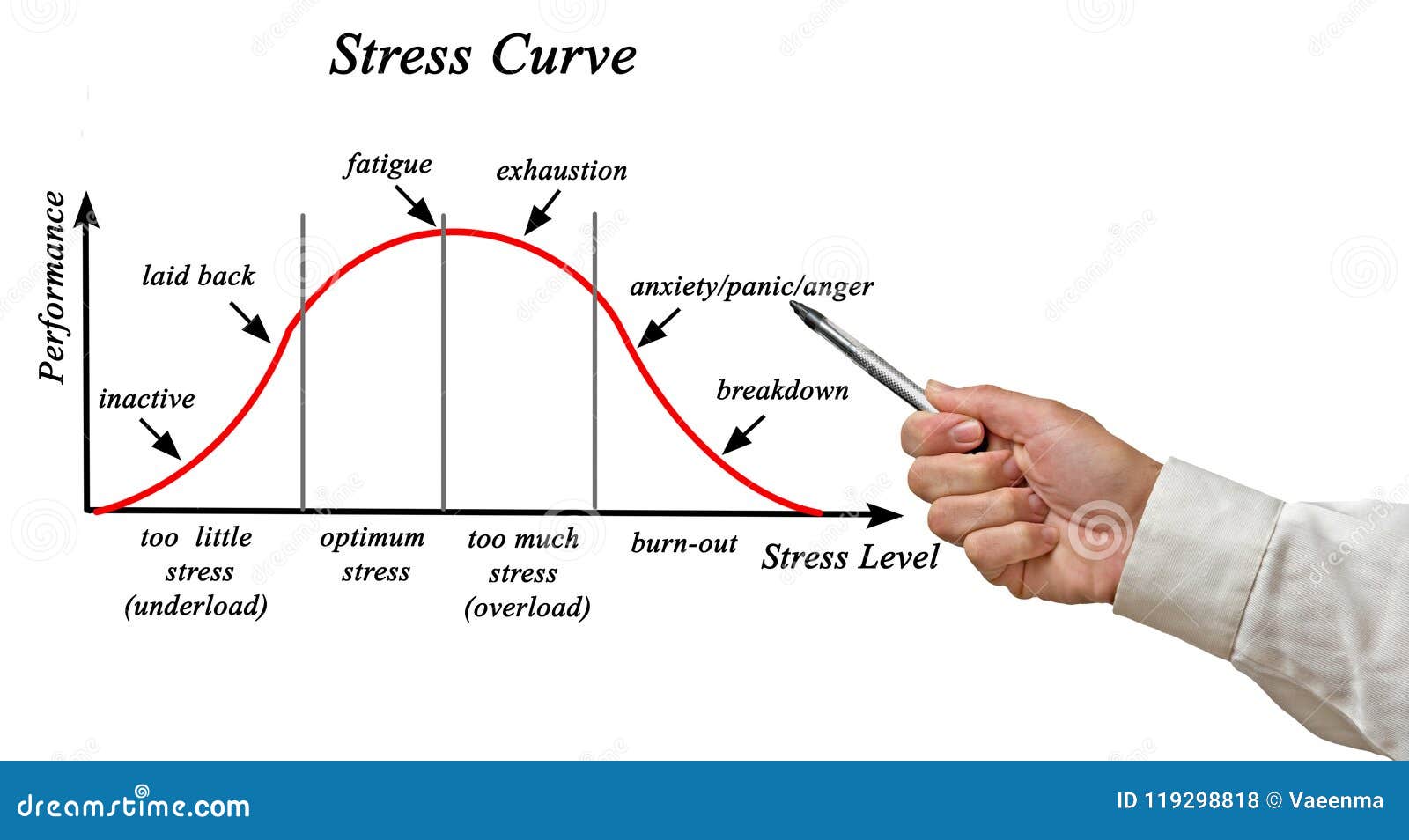 Stress and Performance Curve Stock Photo - Image of stress, burn: 119298818