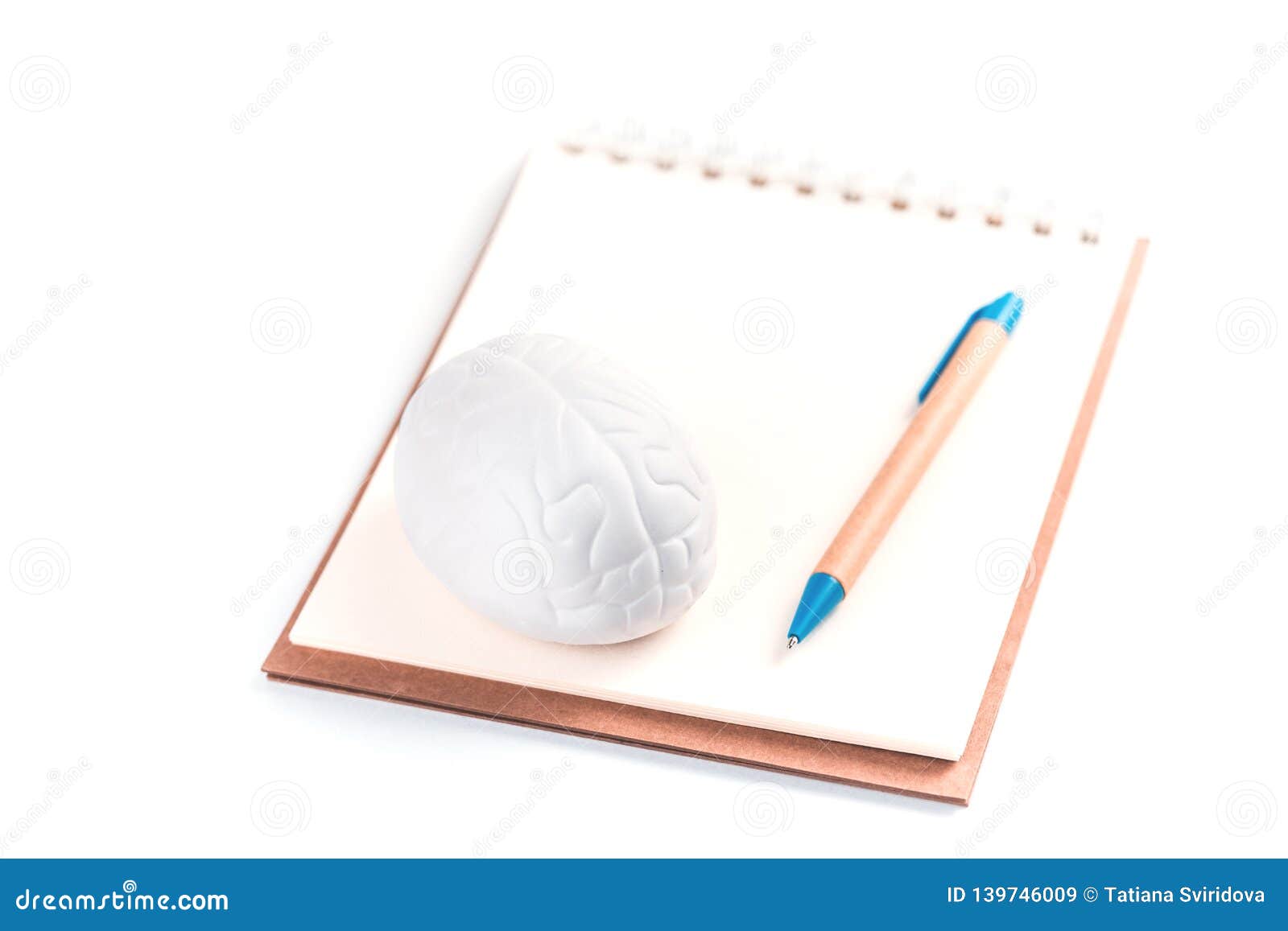 Stress Relief Brain and a Notepad Stock Image - Image of neurons, brain ...