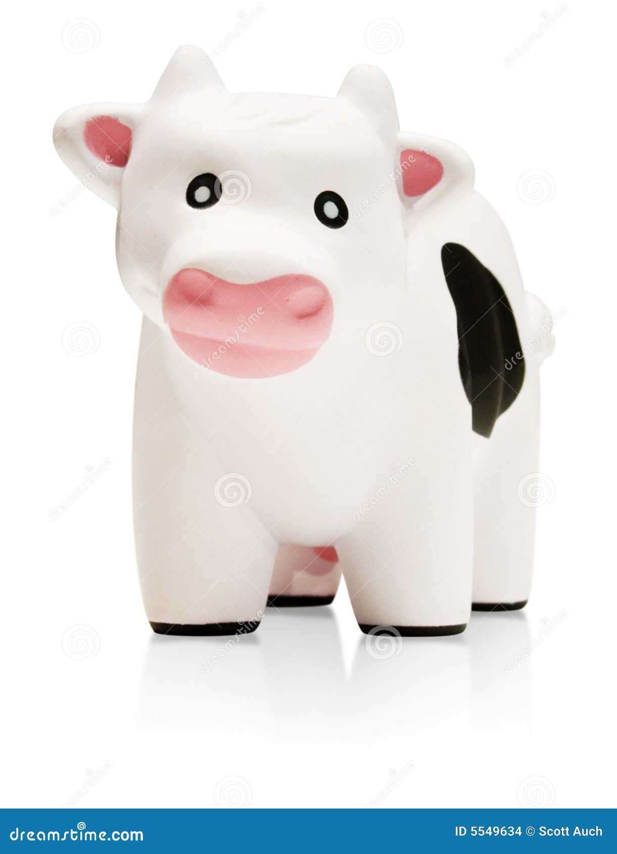 Stress Relief Cow stock photo. Image of tranquility, tranquil - 5549634