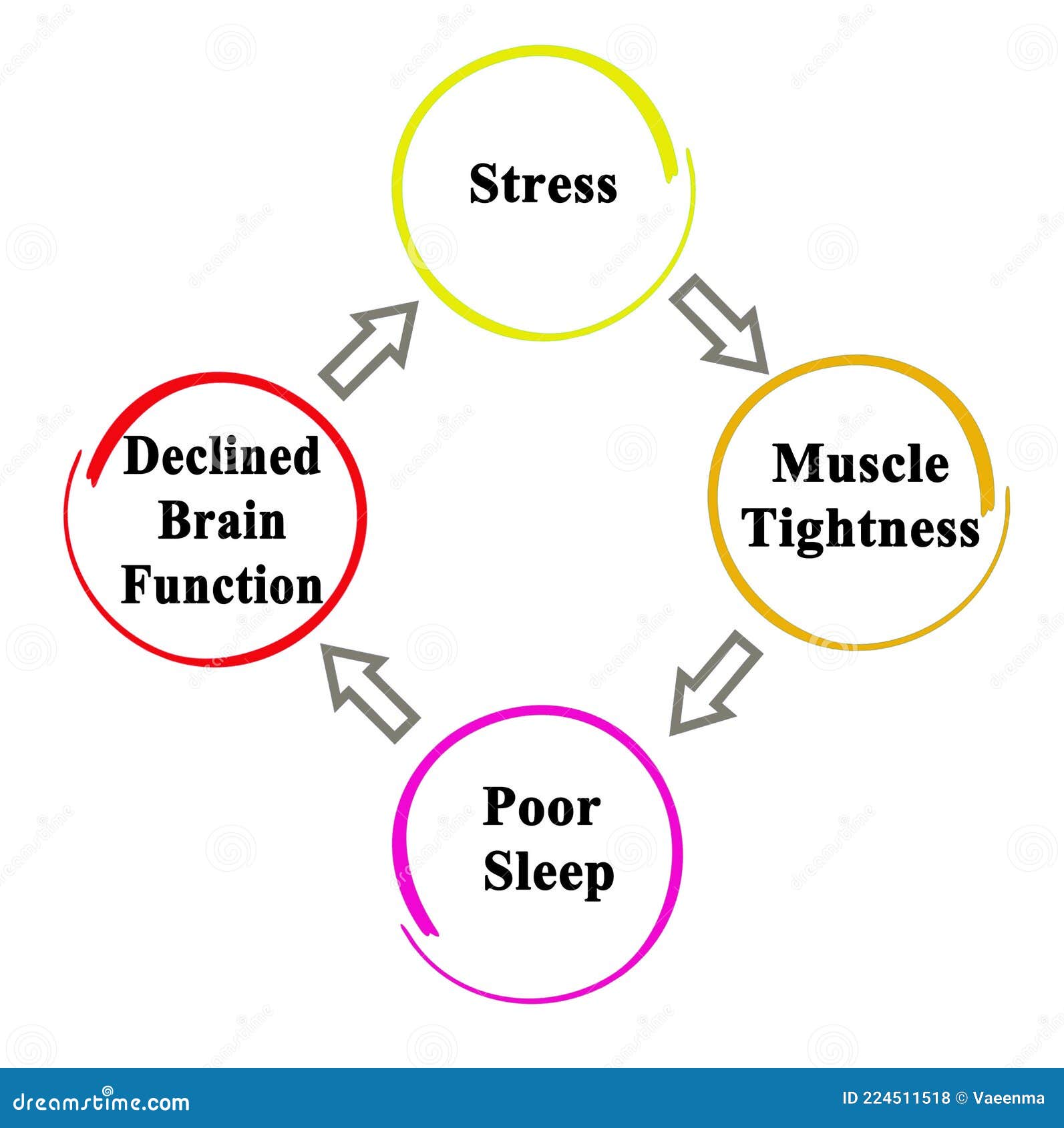 From Stress To Declining Brain Functions Stock Illustration ...