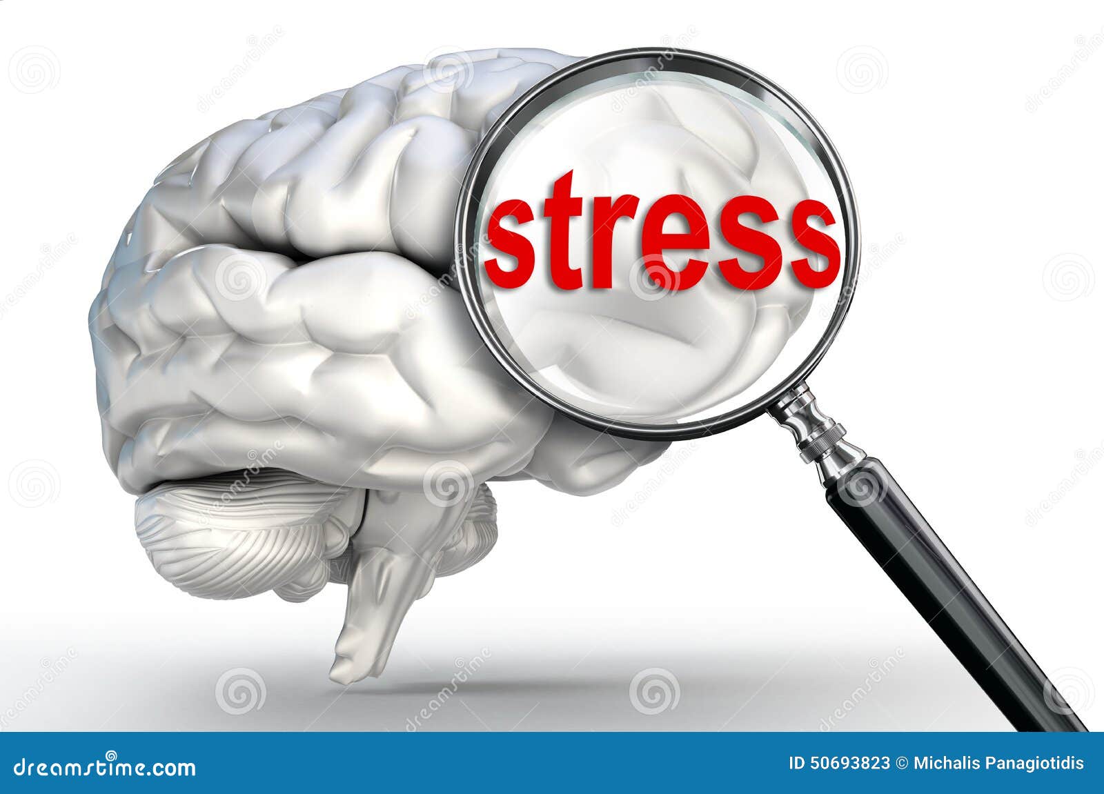 Stress Word on Magnifying Glass and Human Brain Stock Illustration ...