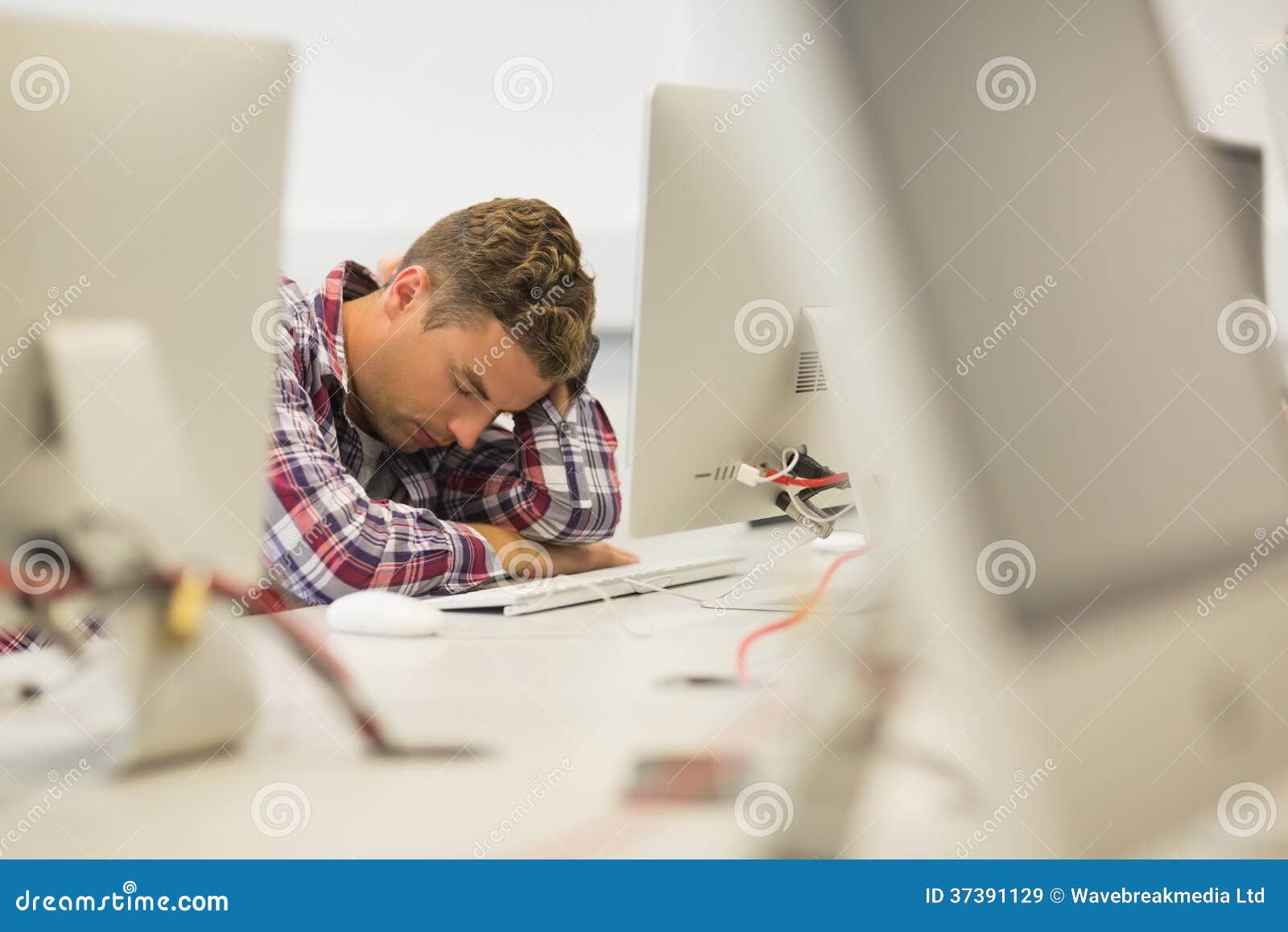 Stressed Handsome Student Studying in the Computer Room Stock Image ...