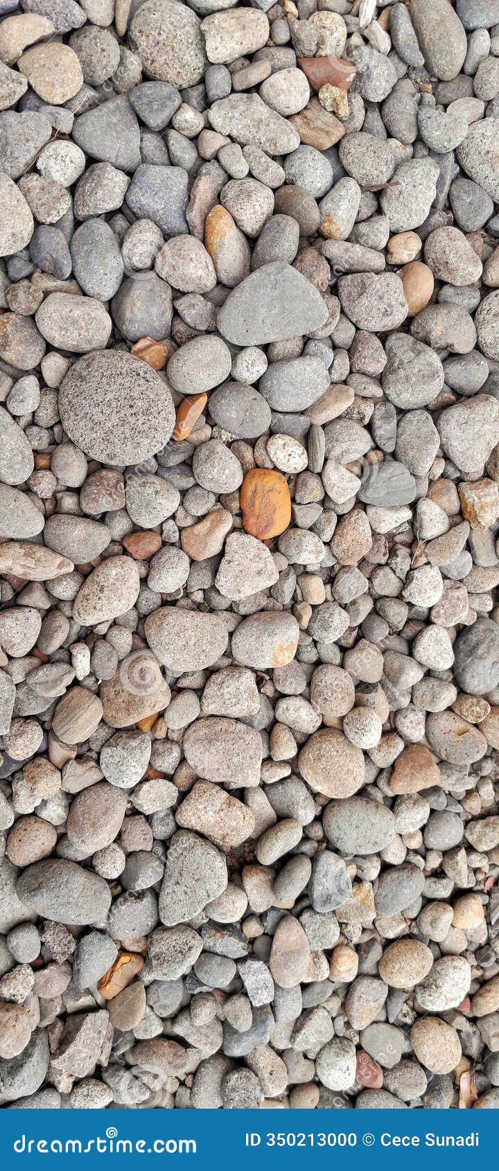 Wet Pebbles Of Various Shapes, Sizes, Colors And Textures And A Sea ...