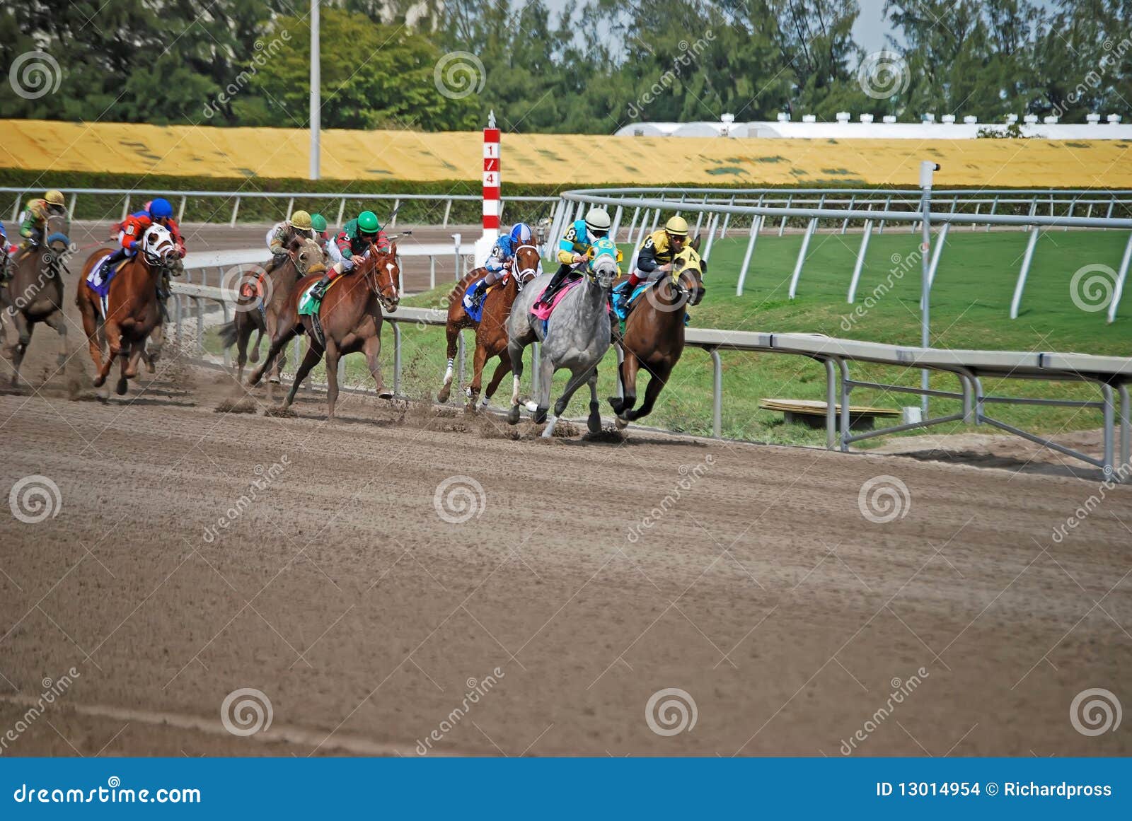Stretch Run to the Wire editorial stock image. Image of sports - 13014954