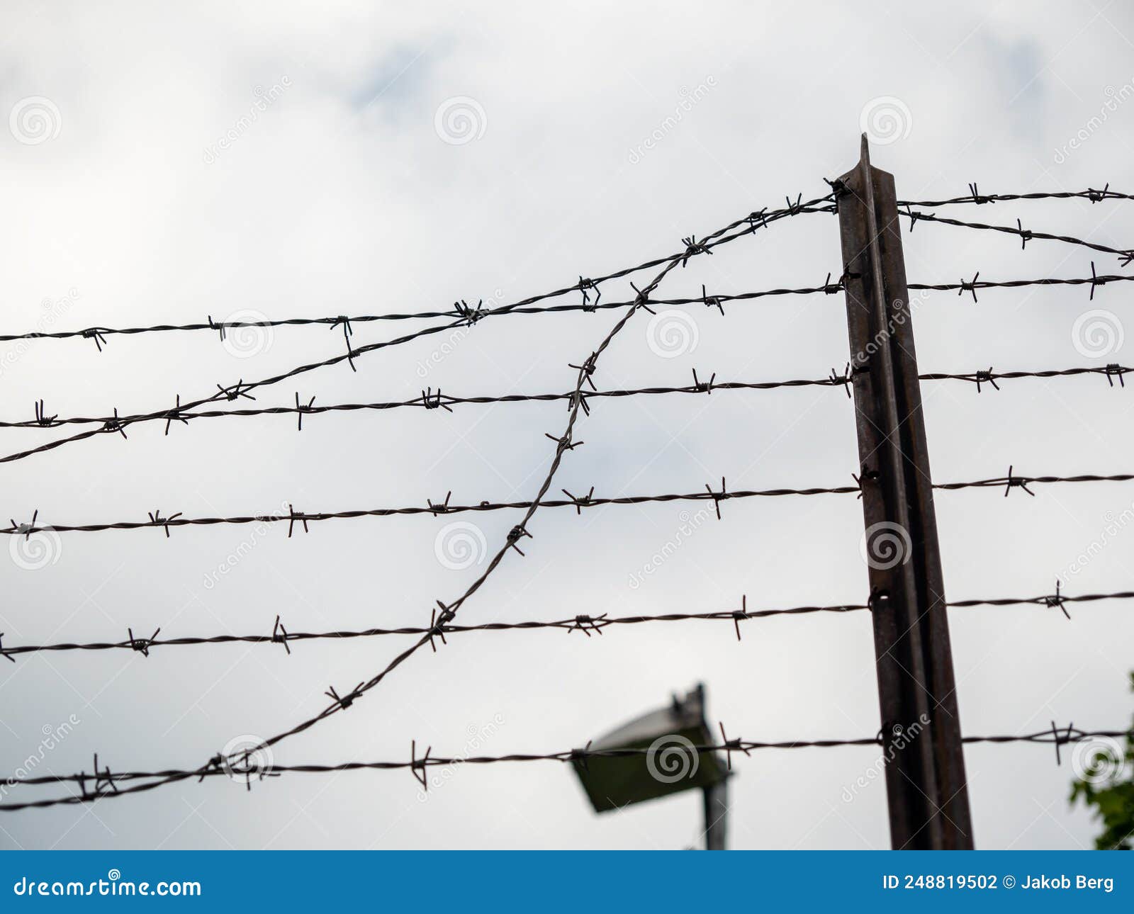 Stretched barbed wire. stock photo. Image of metal, border - 248819502