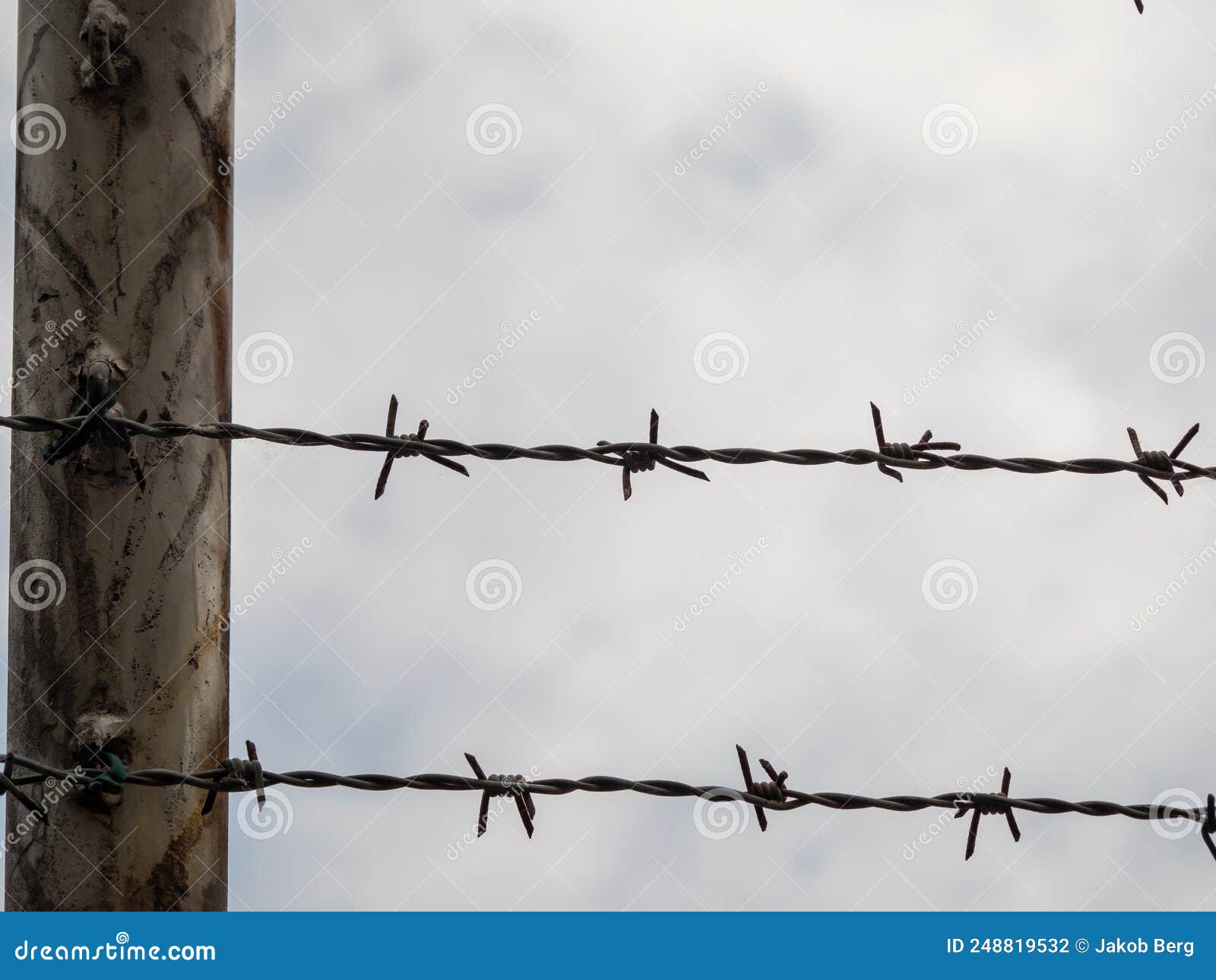 Stretched barbed wire. stock photo. Image of guard, forbidden - 248819532
