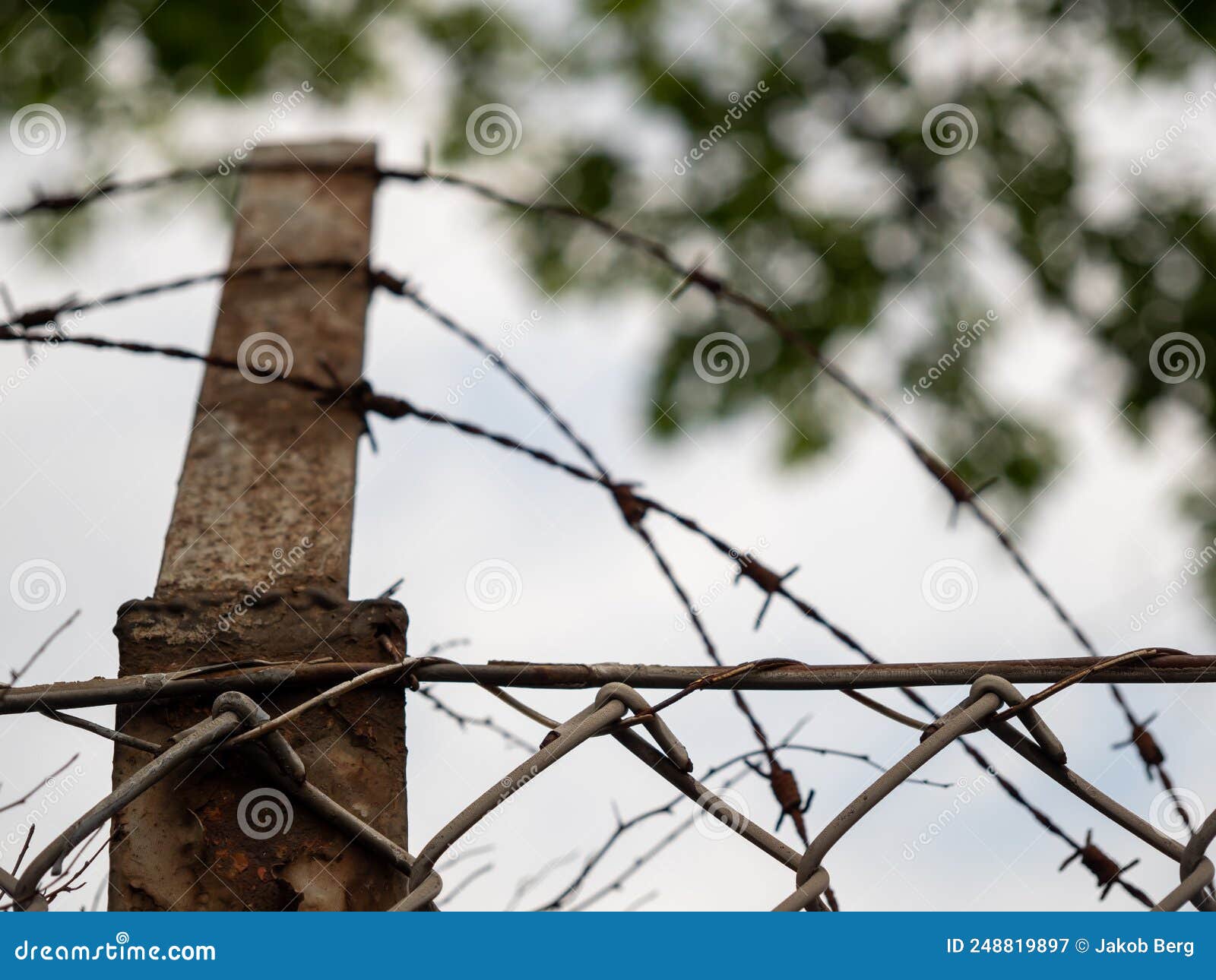 Stretched barbed wire. stock image. Image of barrier - 248819897