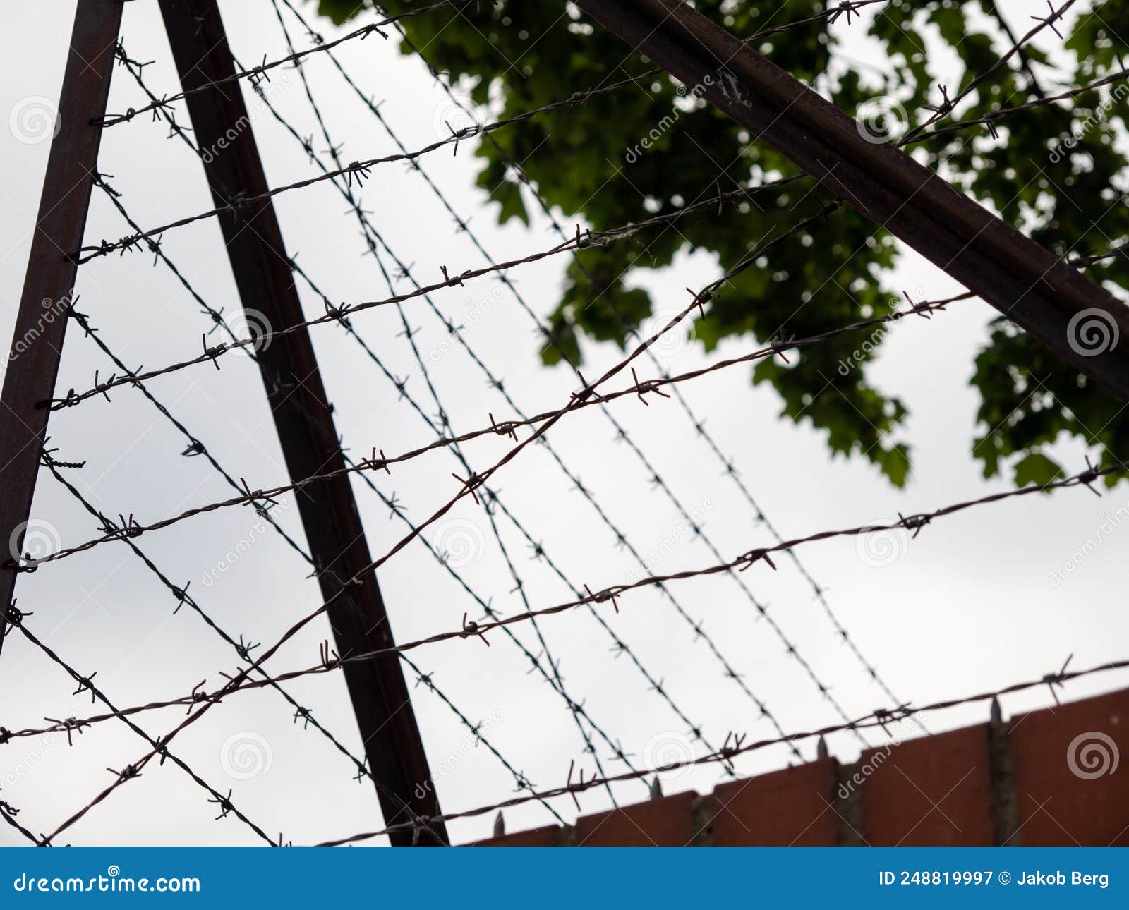 Stretched barbed wire. stock image. Image of barbed - 248819997