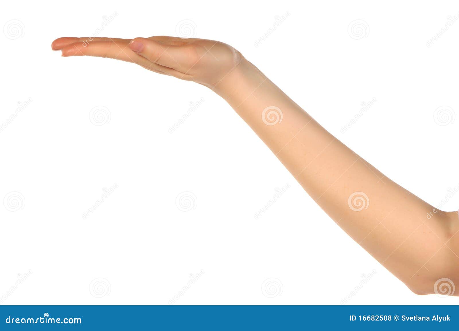 Stretched out empty hand stock photo. Image of horizontal - 16682508