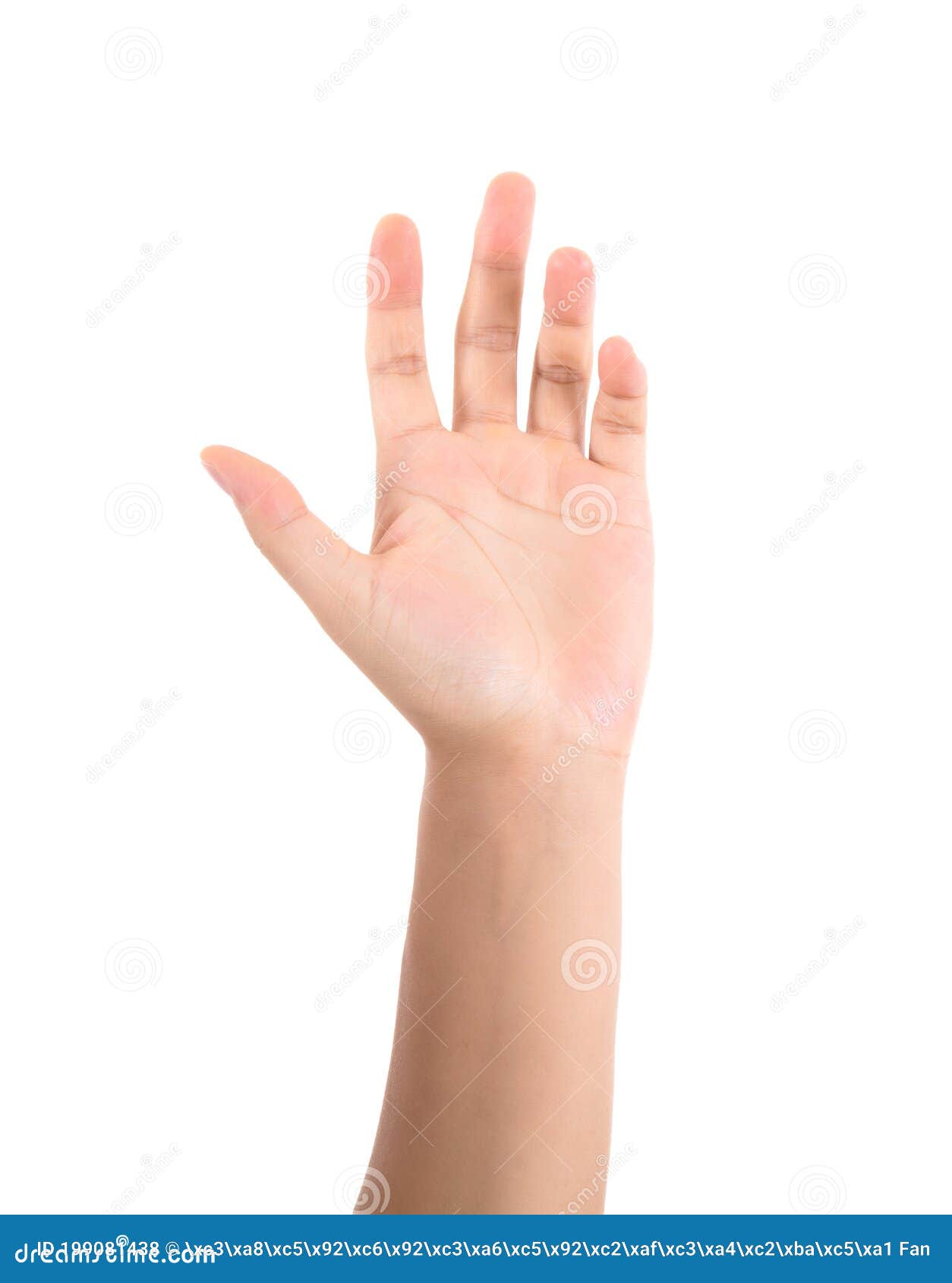 A Stretched and Relaxed Hand in Front of a White Background Stock Photo ...