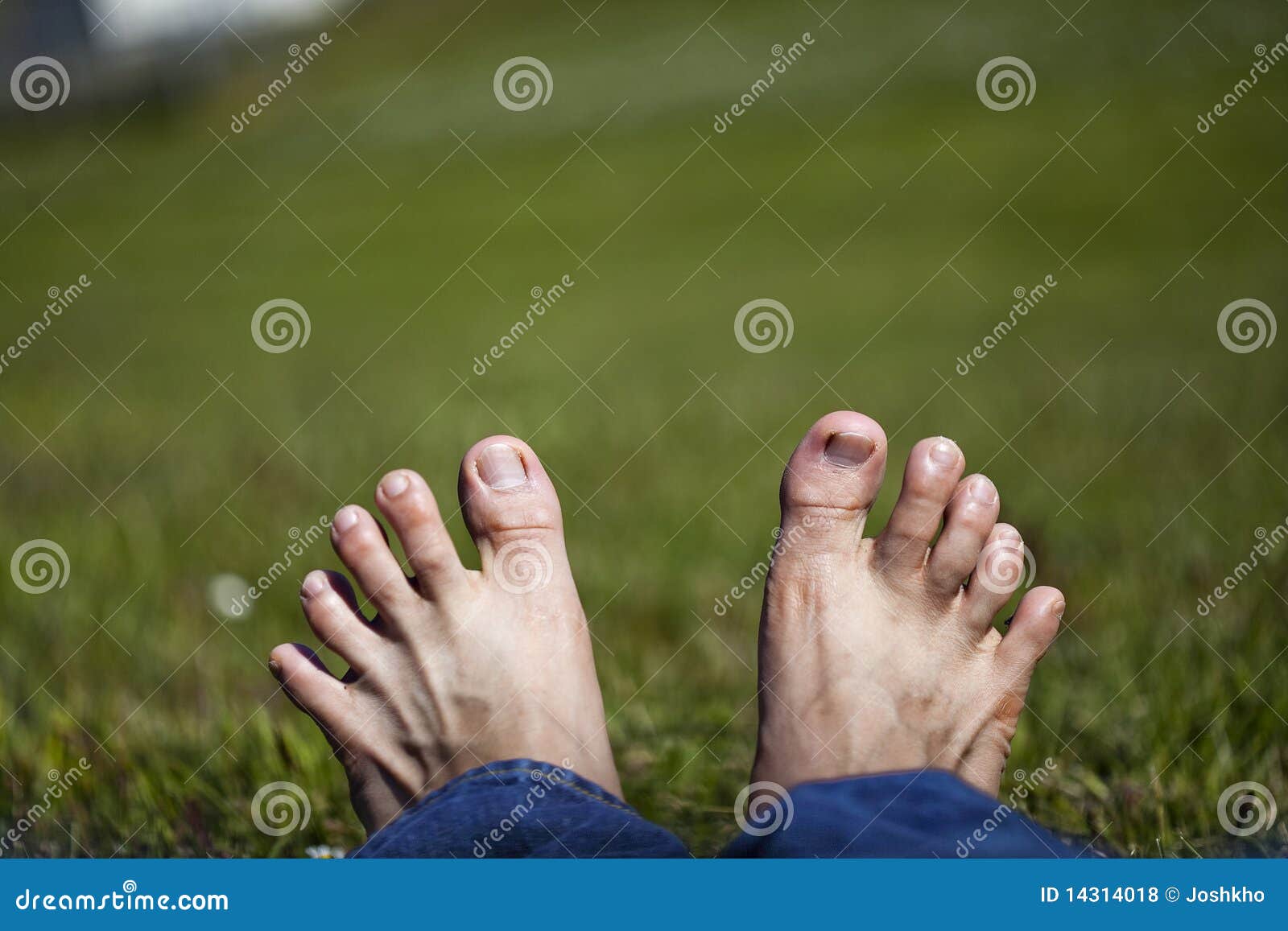 Toes. Stock Photo | CartoonDealer.com #31026768