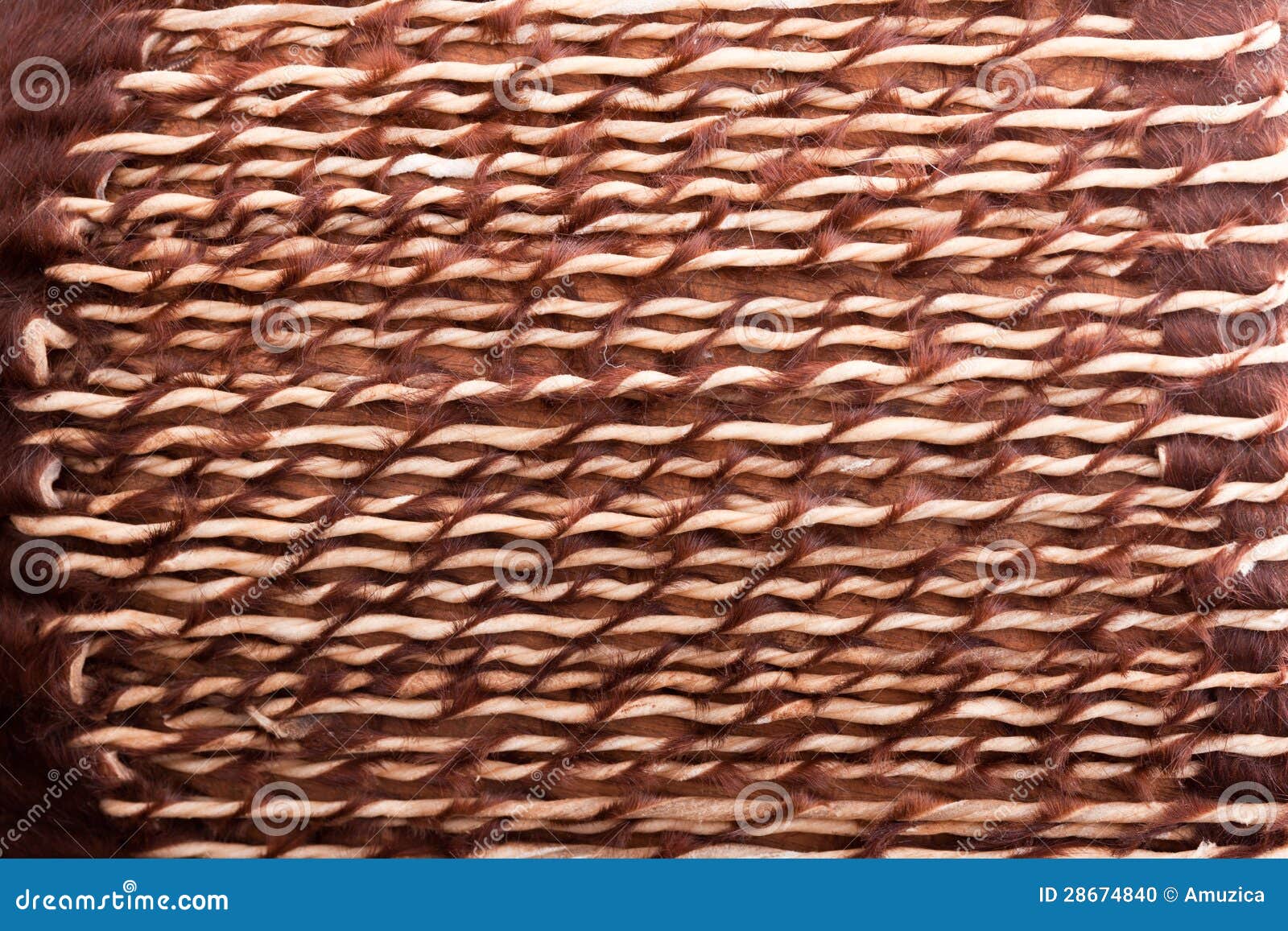 Stretched and Twisted Sinew Detail on Side of Native Drum Stock Photo ...