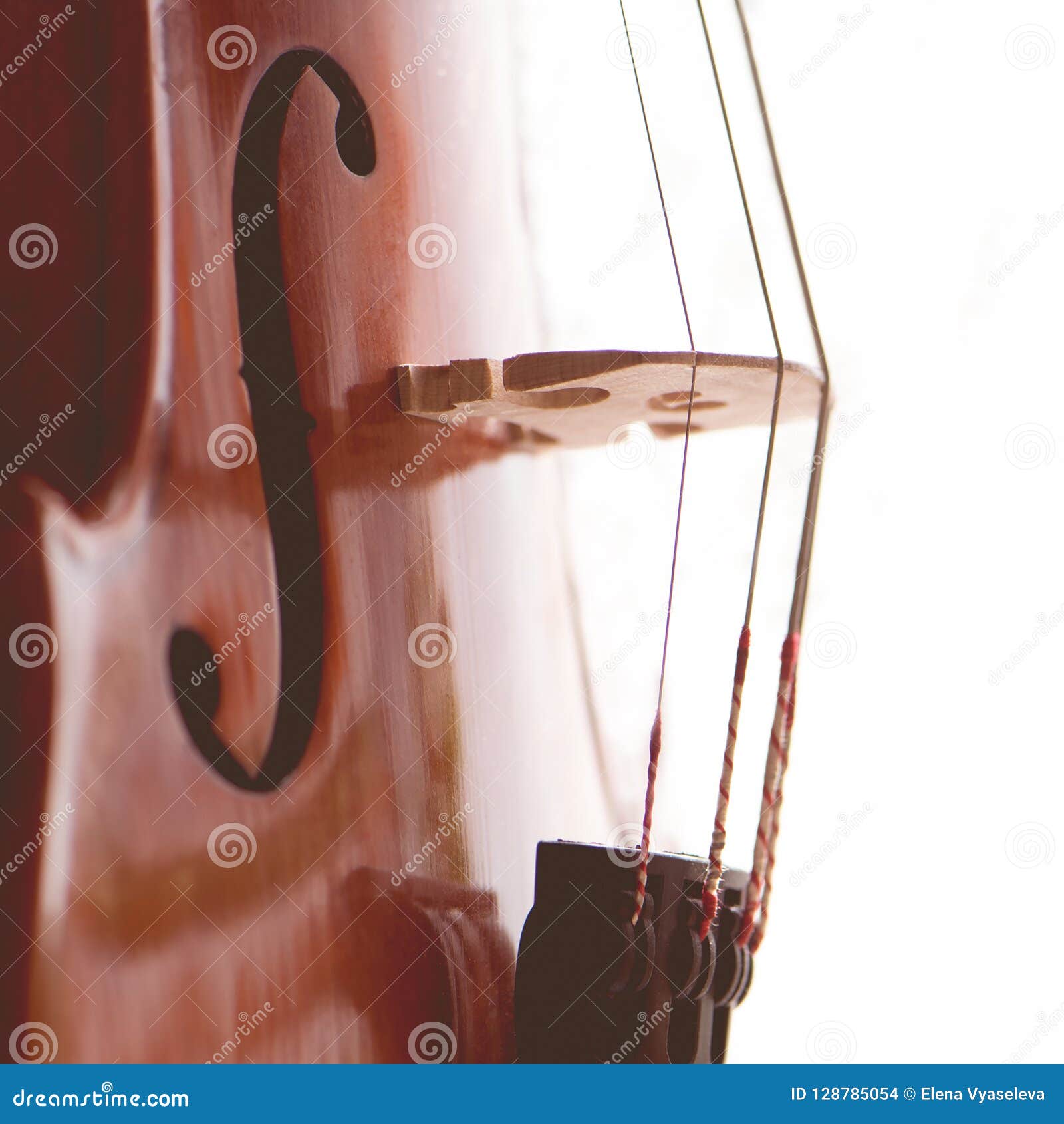 Stretched Violin Strings Close-up. Square Photo. Concept Music Stock ...