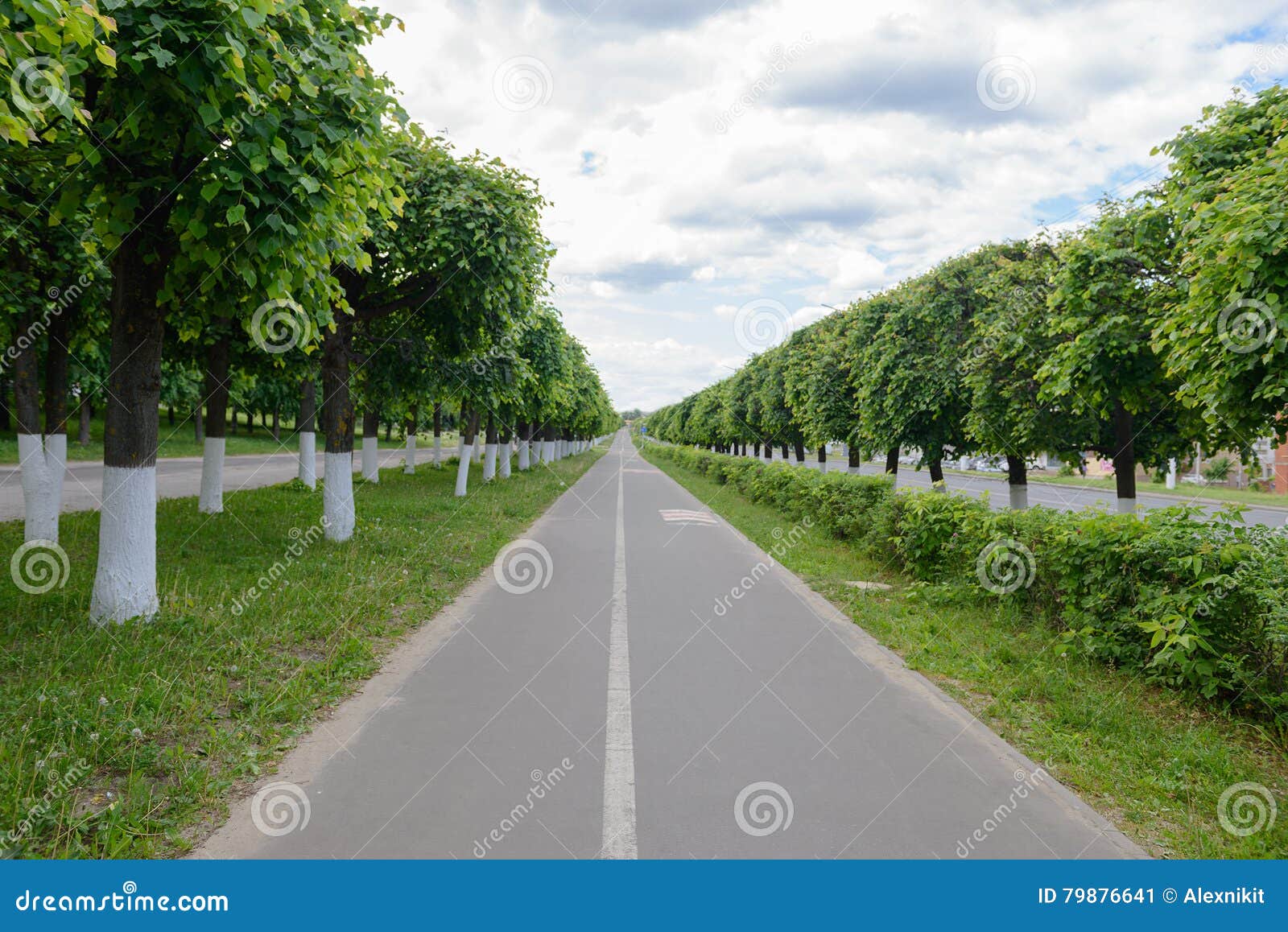 Stretches To the Horizon Asphalt Road with Trees Stock Image - Image of ...