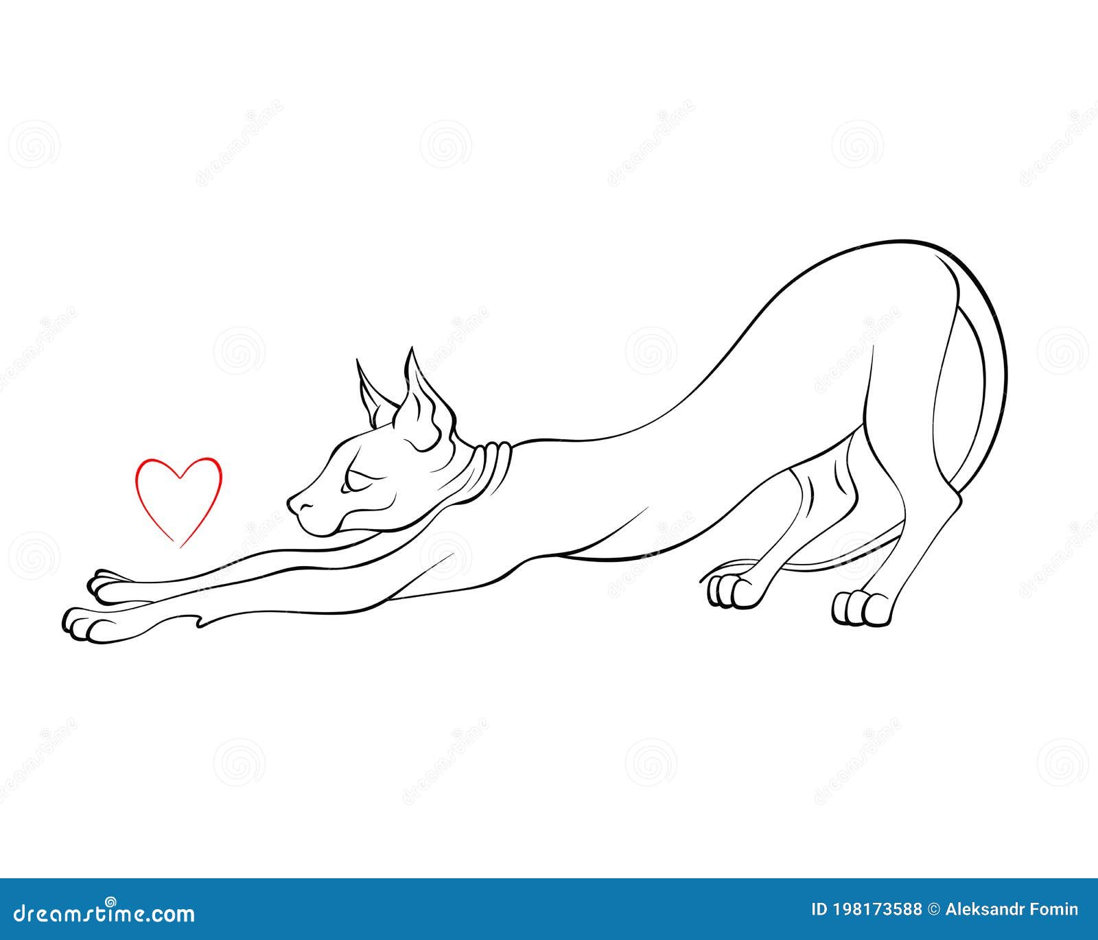 Stretching Canadian Sphinx with Heart Illustration Stock Vector ...