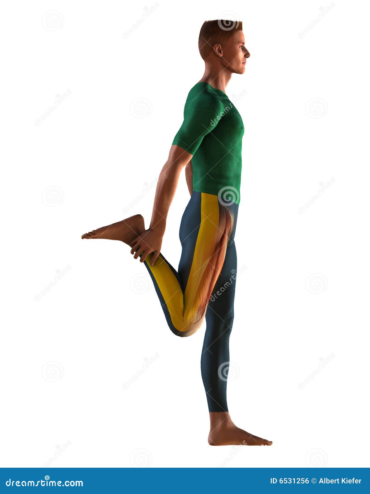 Stretching Cartoons, Illustrations & Vector Stock Images - 103782 ...