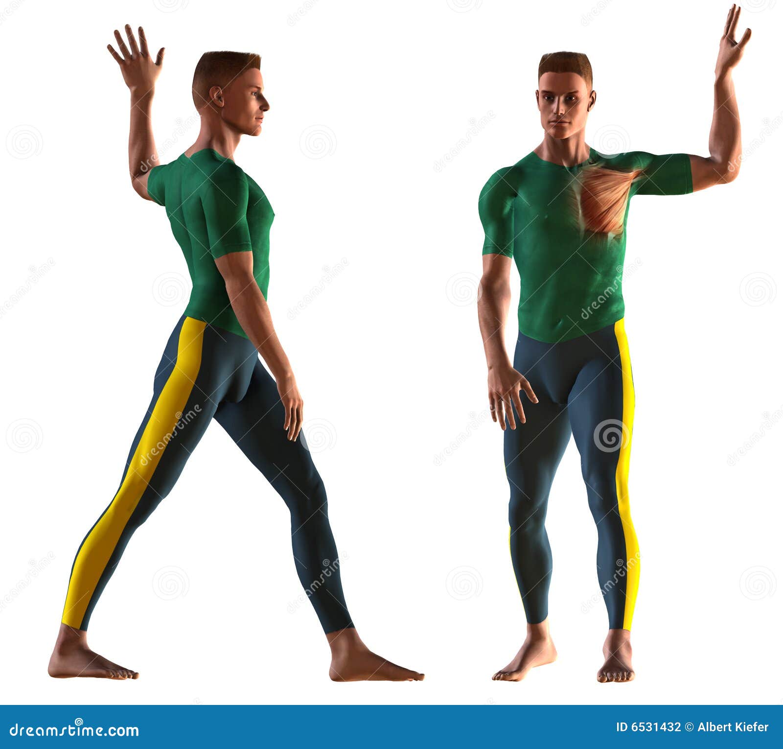 Stretching Exercise Set With Man Flat. Vector | CartoonDealer.com #78969424