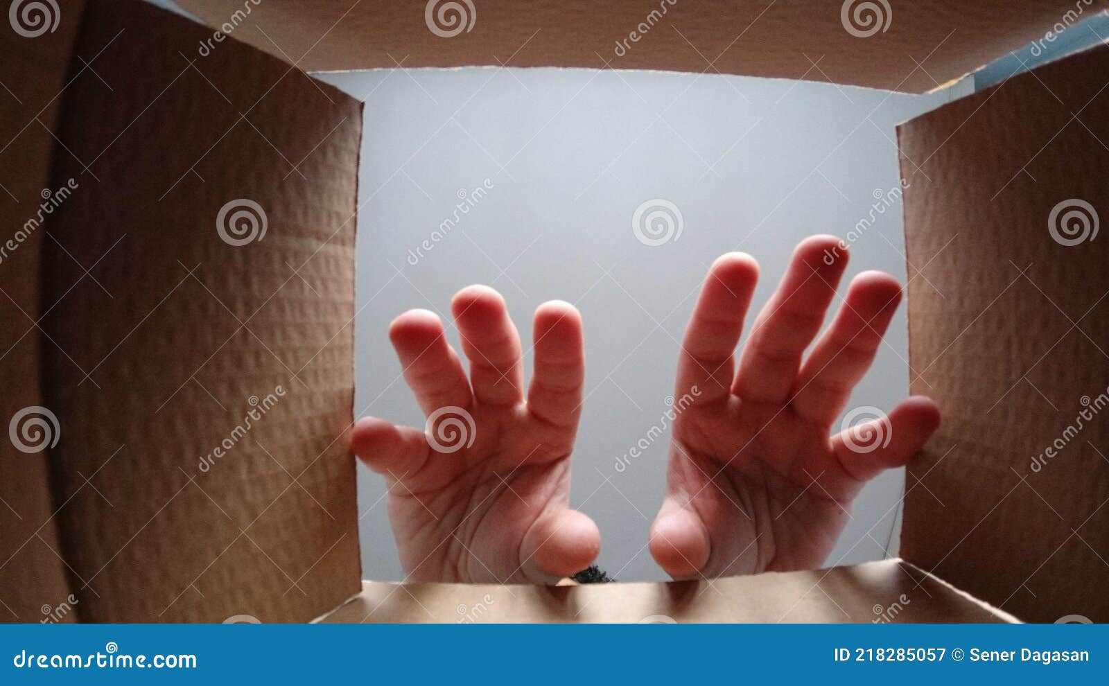 Stretching Hands into the Cardboard Box for Grab Something Stock Image ...