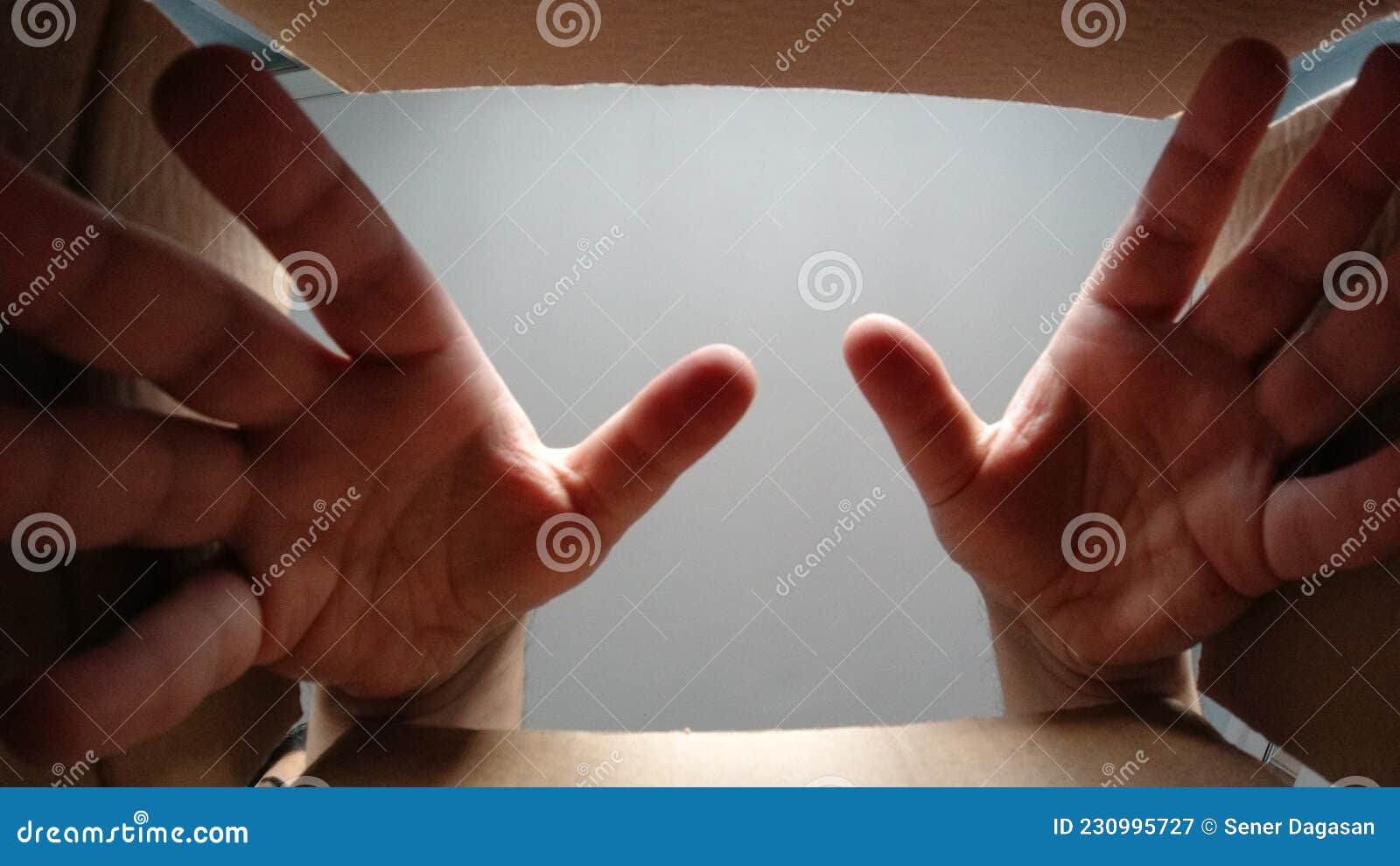 Stretching Hands into the Cardboard Box for Grab Something Stock Image ...