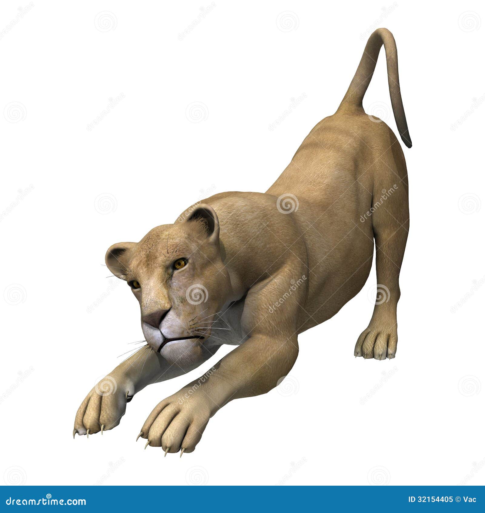 Stretching Lioness stock illustration. Illustration of background ...