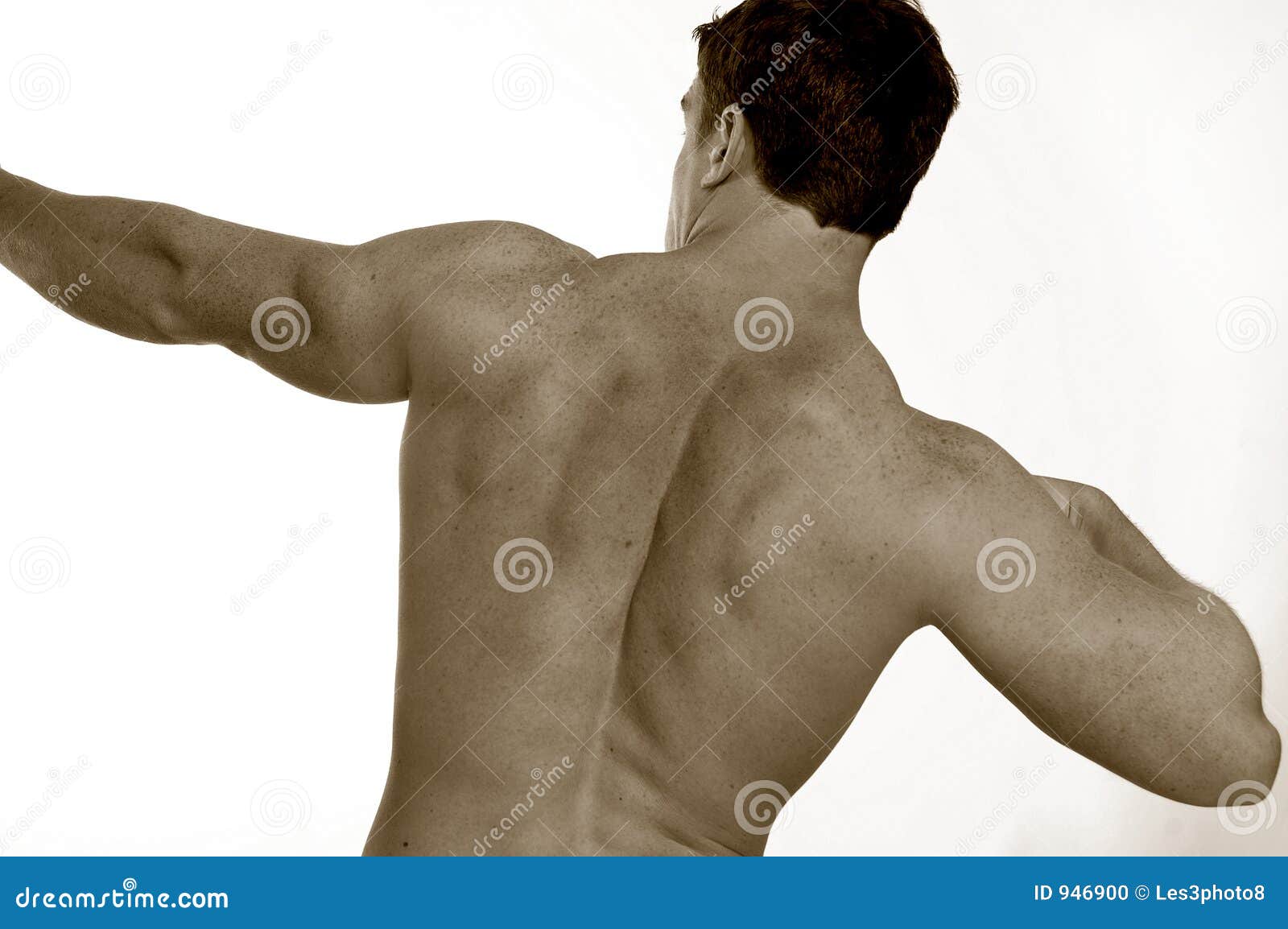 Stretching male back stock photo. Image of male, tone, muscle - 946900