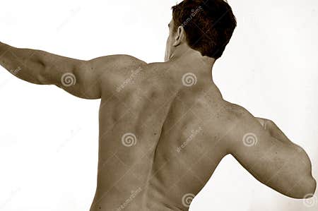 Stretching male back stock photo. Image of male, tone, muscle - 946900