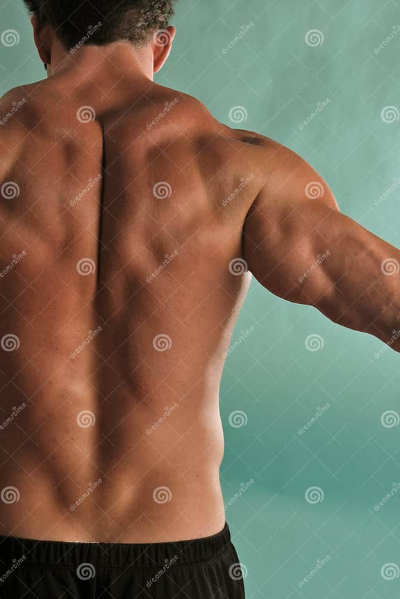 Stretching Male Muscle Back Stock Photo - Image of athletic, powerful ...