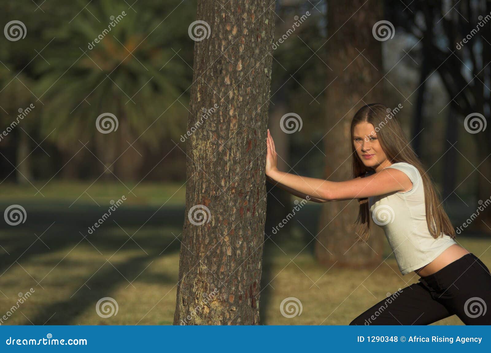 Stretching on tree stock photo. Image of athlete, health - 1290348