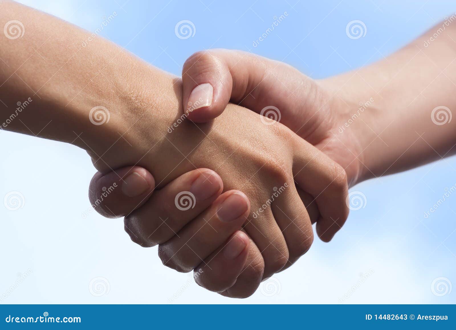 Stretta di mano immagine stock. Immagine di servizio - 14482643