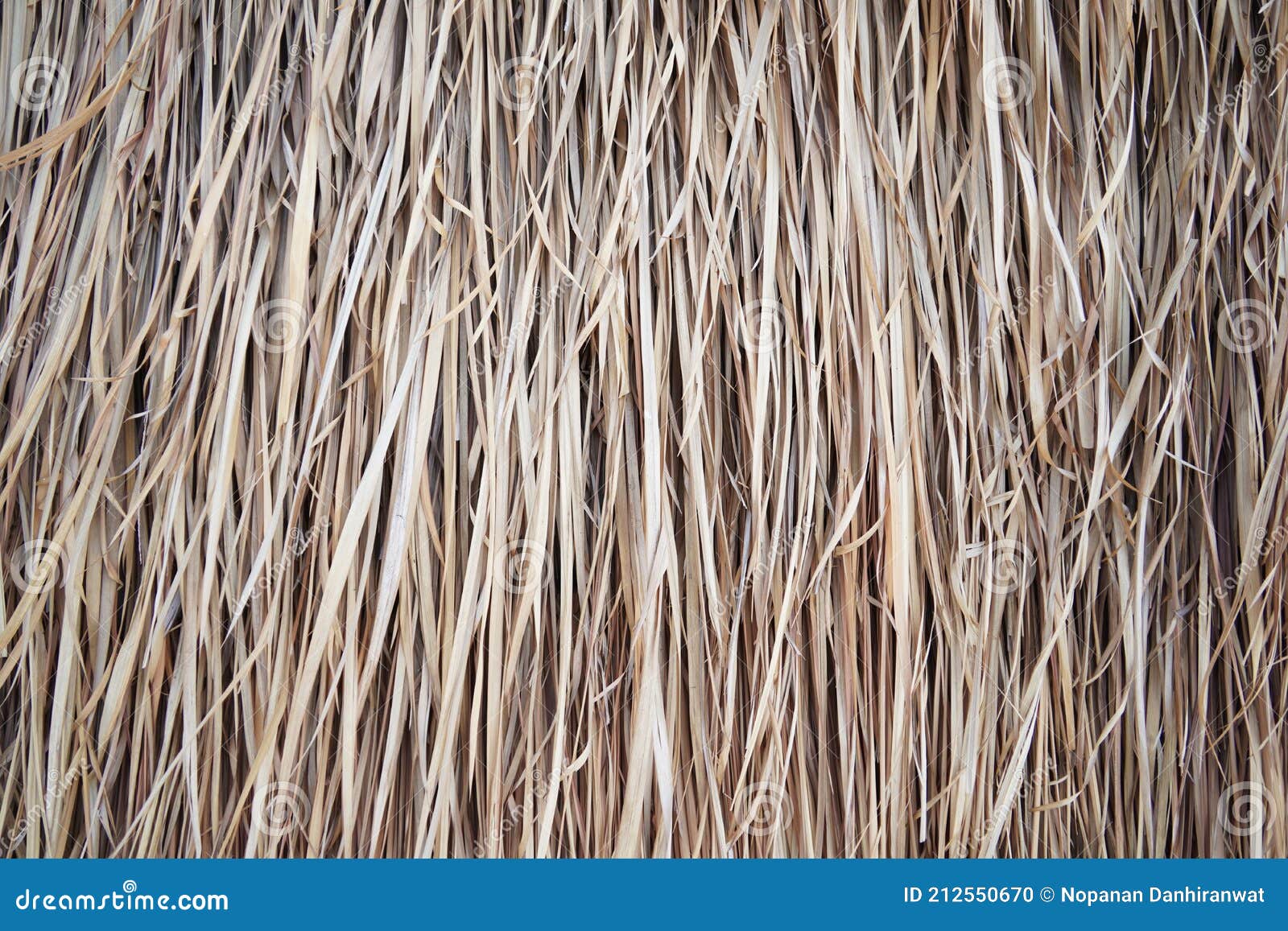 Striated Patterns or the Texture of Dry Straw Stock Photo - Image of ...