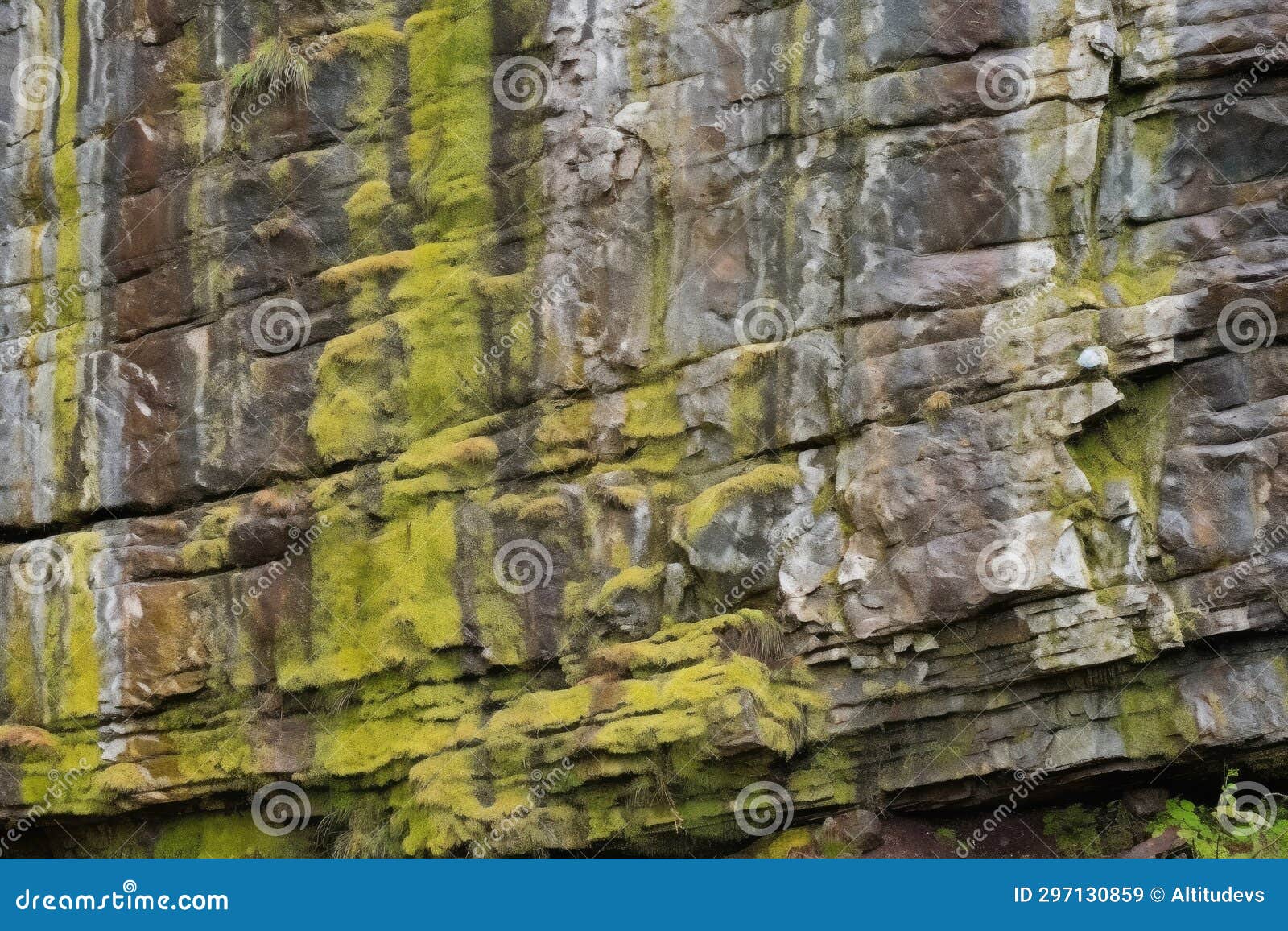 Striated Rock Surface Covered with Moss and Lichens Stock Image - Image ...