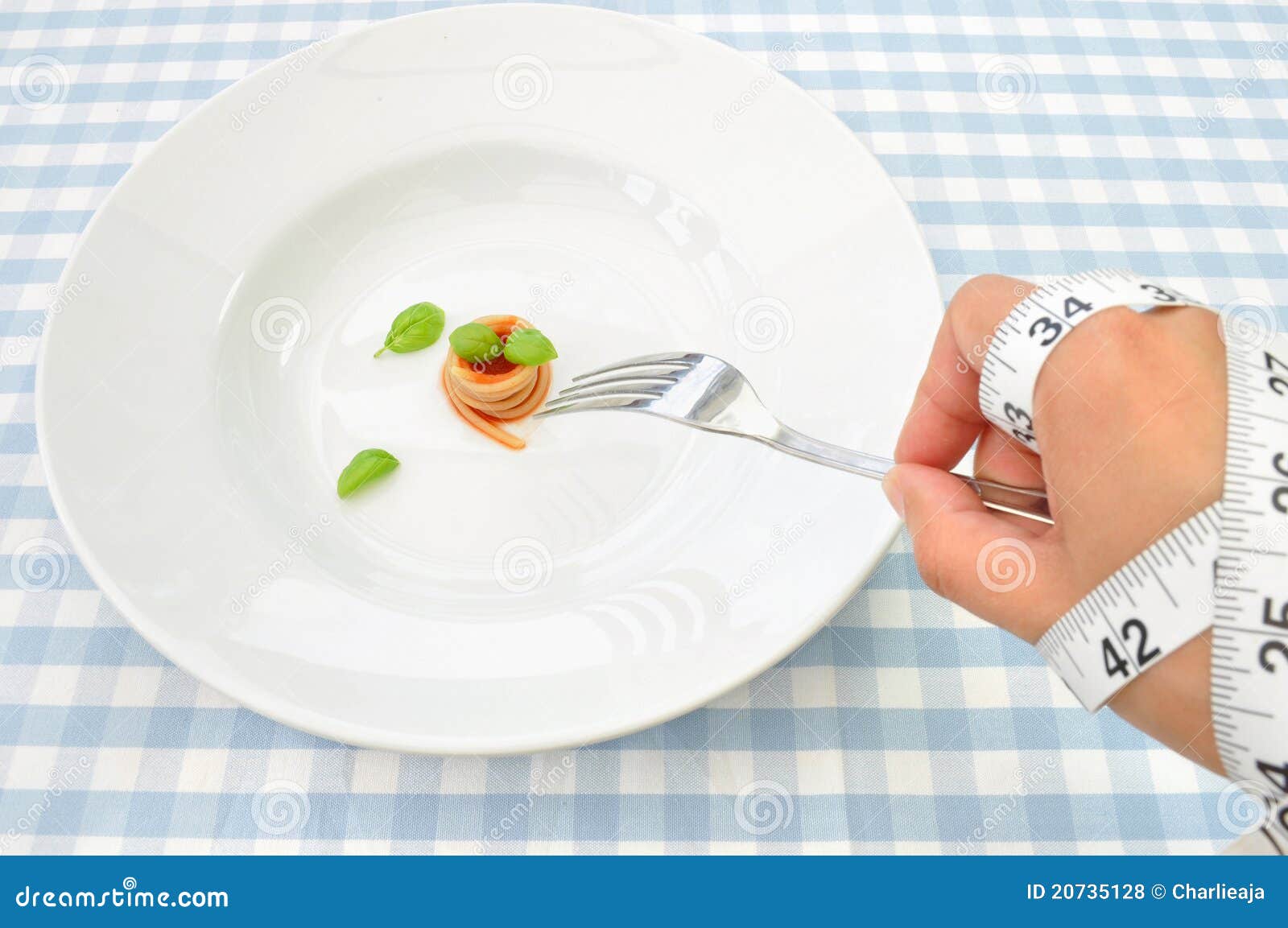 Strict diet stock photo. Image of portion, health, healthy - 20735128