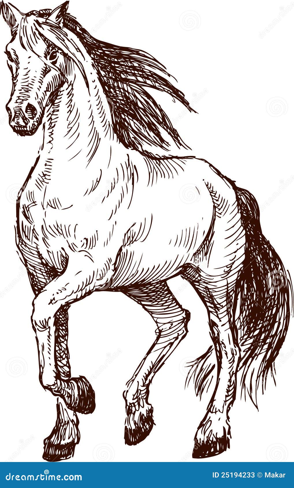 Striding horse stock vector. Illustration of hand, farm - 25194233