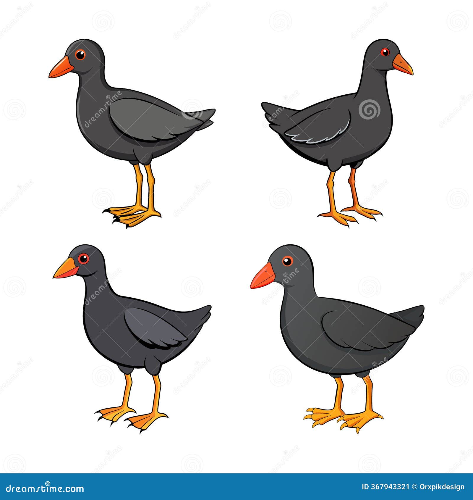 Moorhen Cartoons, Illustrations & Vector Stock Images - 131 Pictures to ...