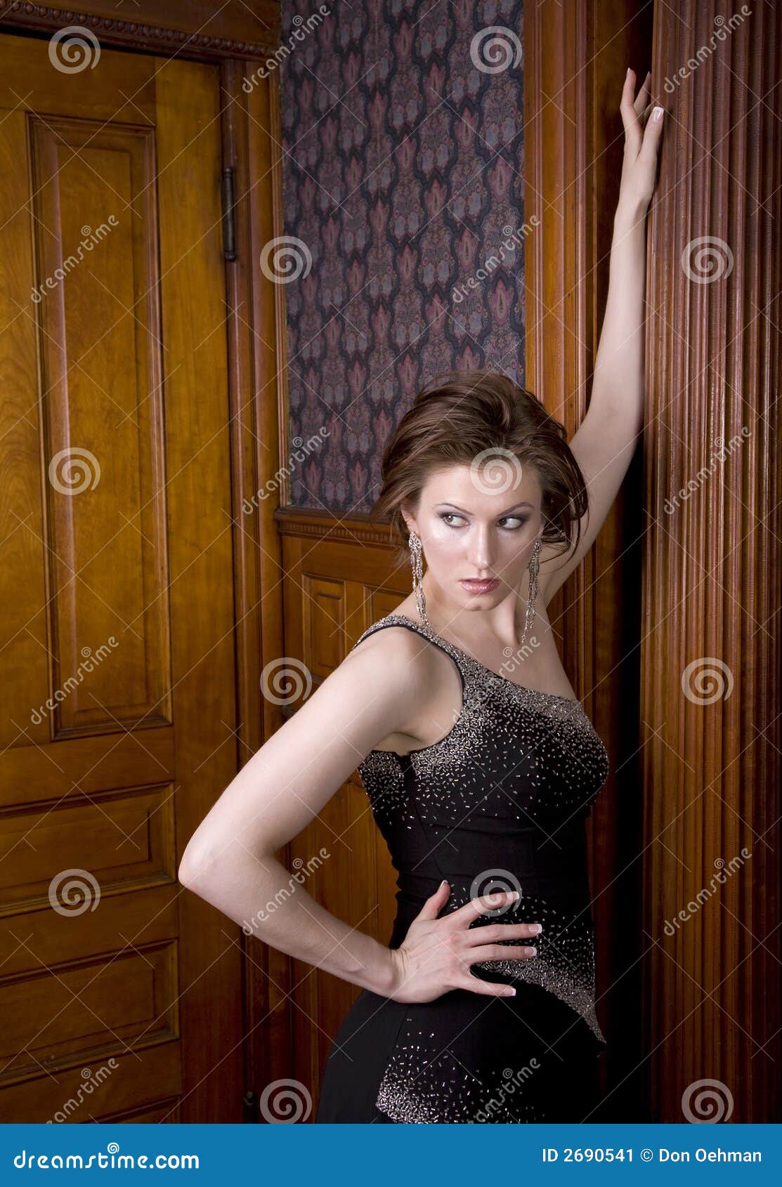 Striking a Pose stock image. Image of attractive, proud - 2690541