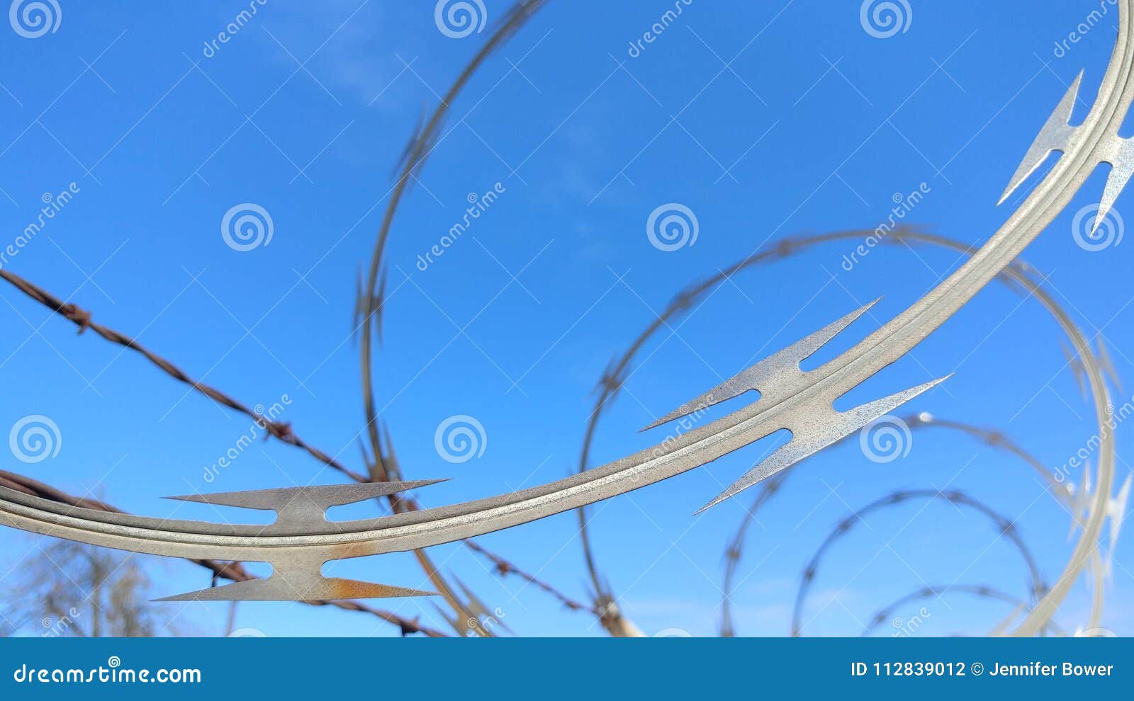Barbed Wire stock photo. Image of wire, sharp, string - 112839012