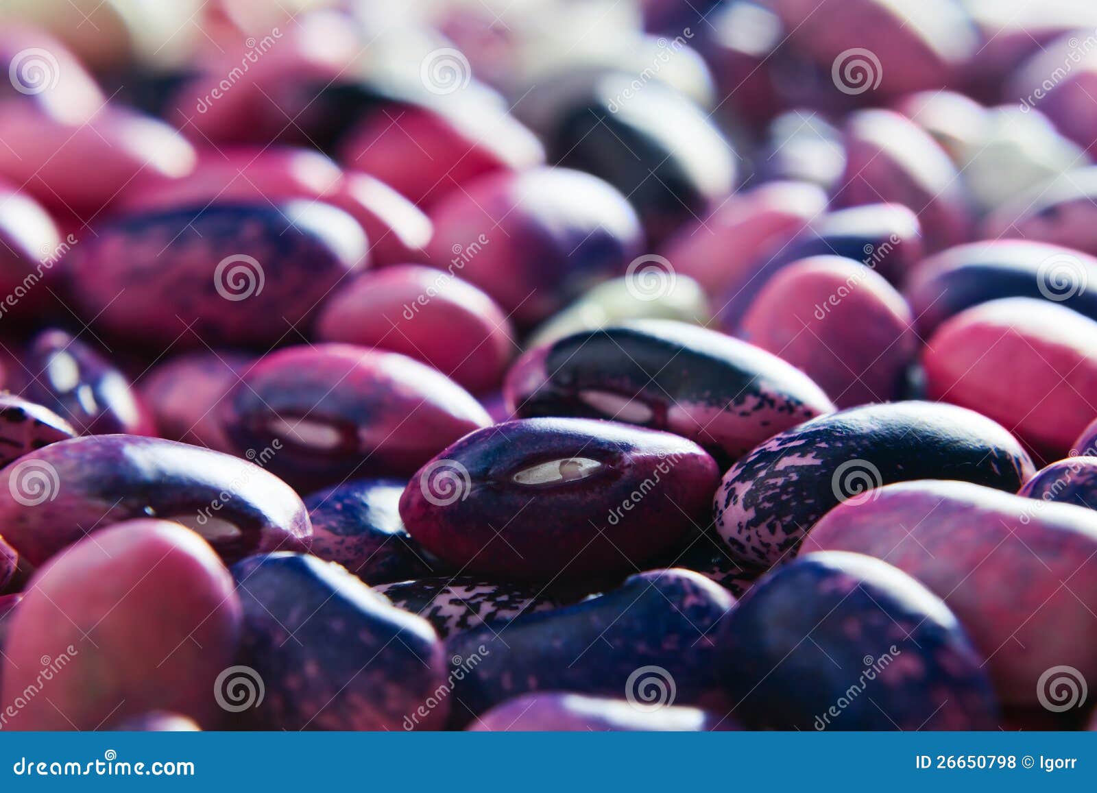 String bean stock photo. Image of food, beans, uncooked - 26650798