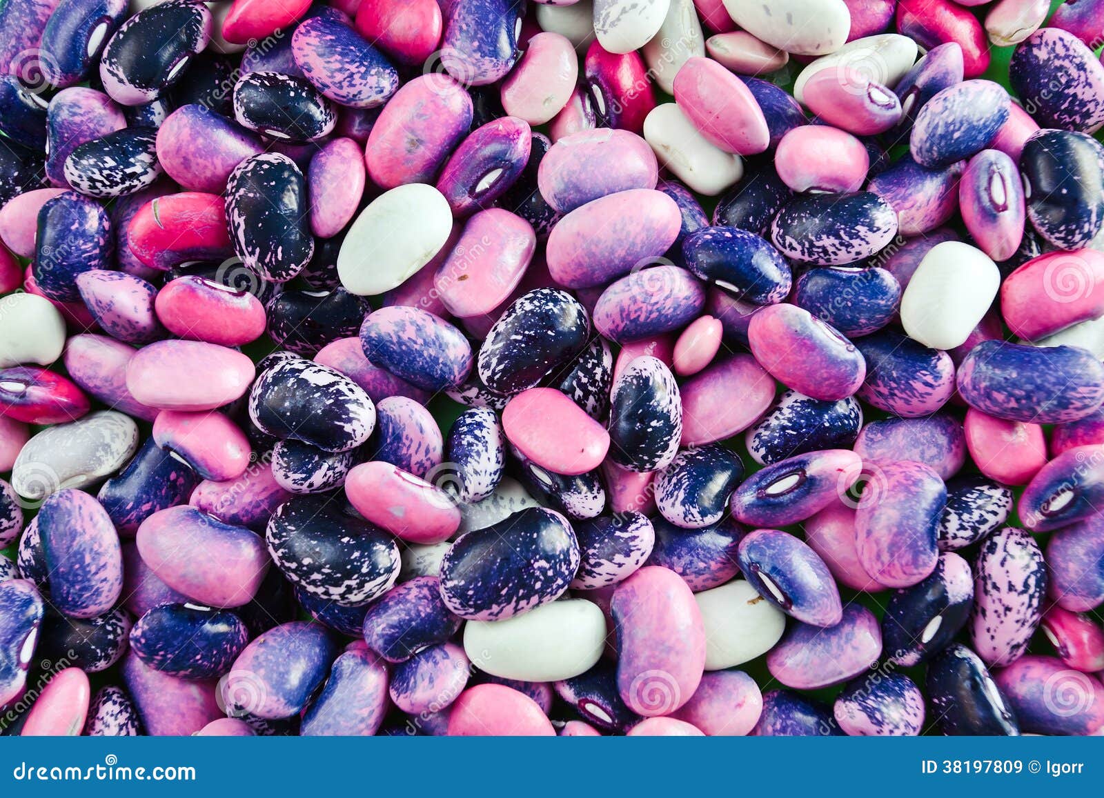 String bean stock image. Image of closeup, healthy, grain - 38197809