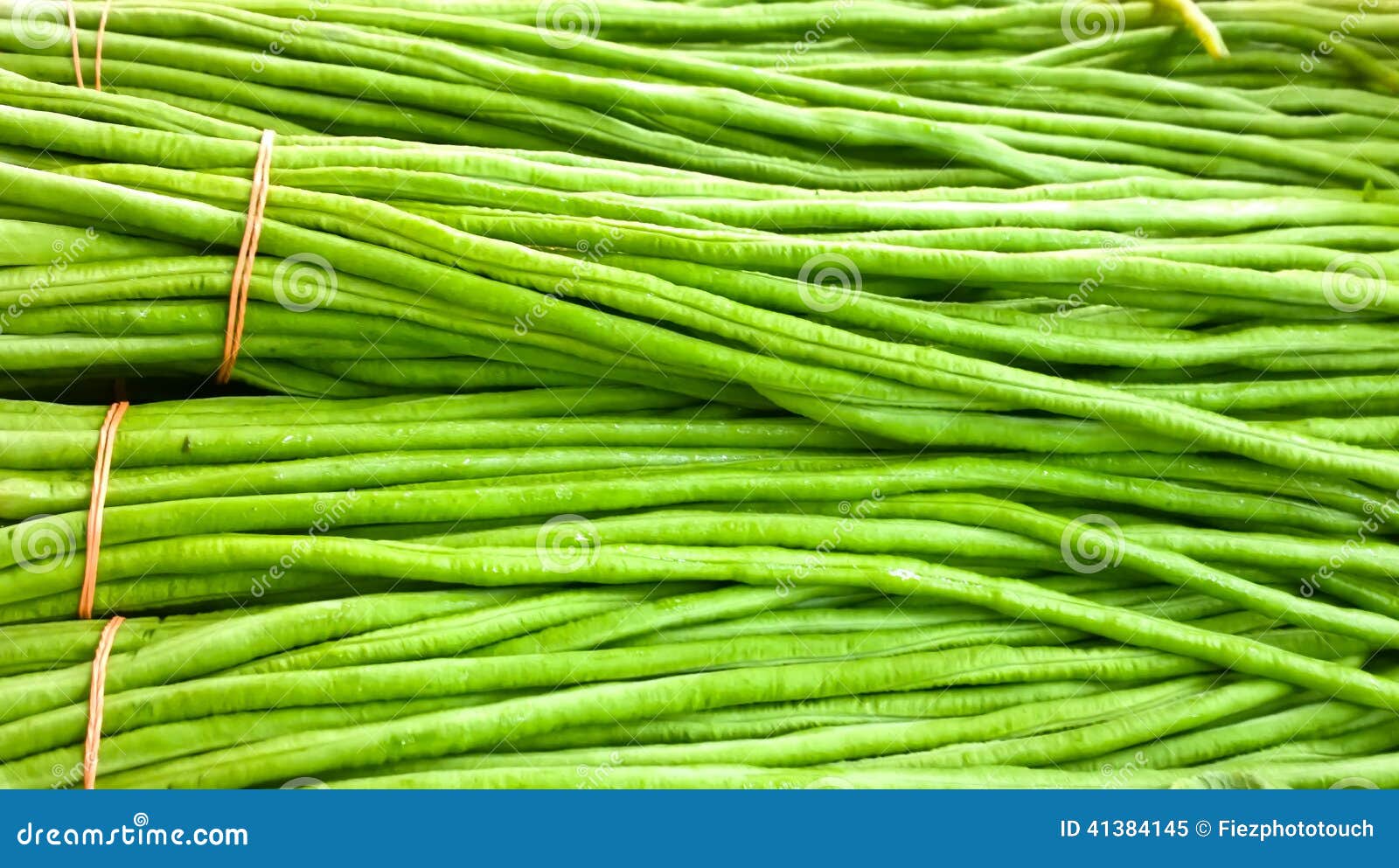 String bean stock image. Image of string, healthy, gardening - 41384145