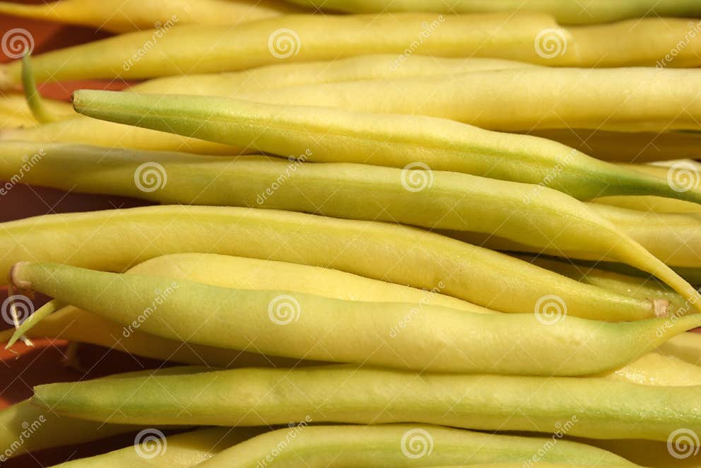 String bean in pods stock photo. Image of health, nutrition - 5625902