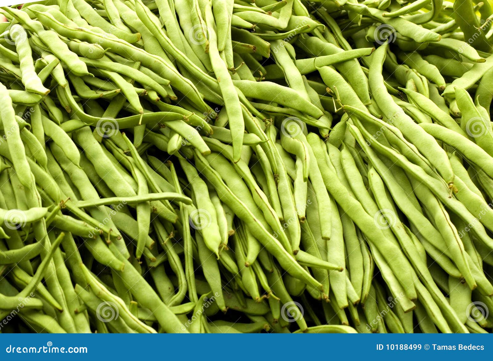 String beans stock image. Image of ingredients, farming - 10188499