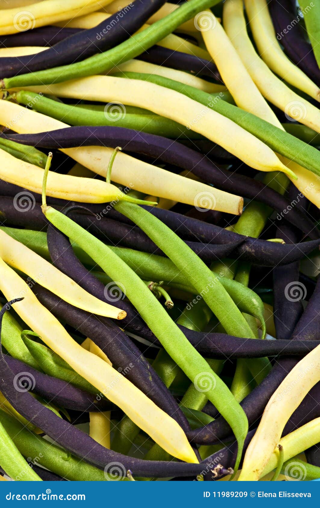 String beans stock image. Image of closeup, healthy, detail - 11989209