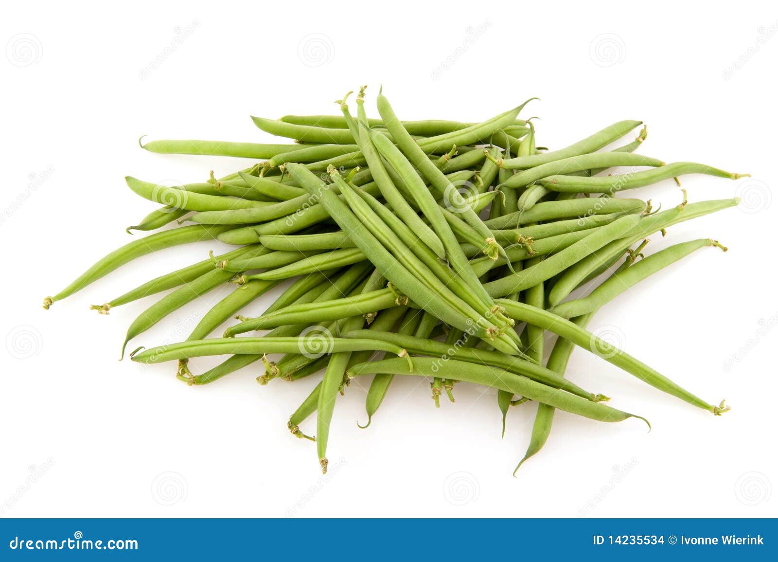 String beans stock photo. Image of isolated, beans, vegetables - 14235534