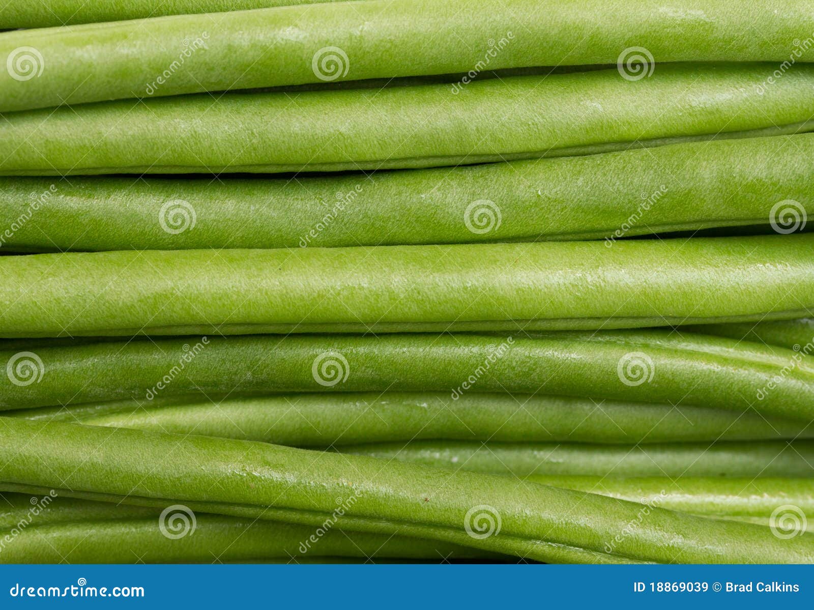 String beans stock image. Image of closeup, green, background - 18869039