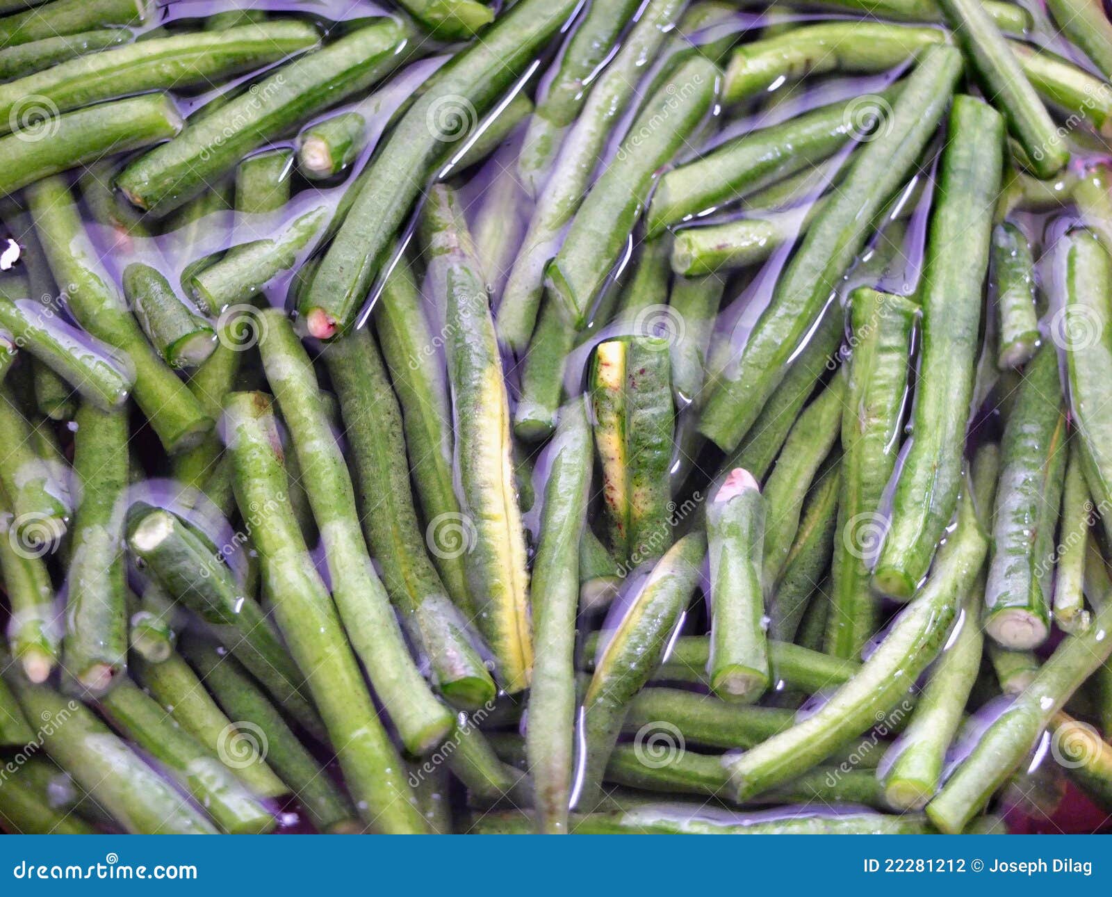 String Beans stock photo. Image of macro, crop, objects - 22281212