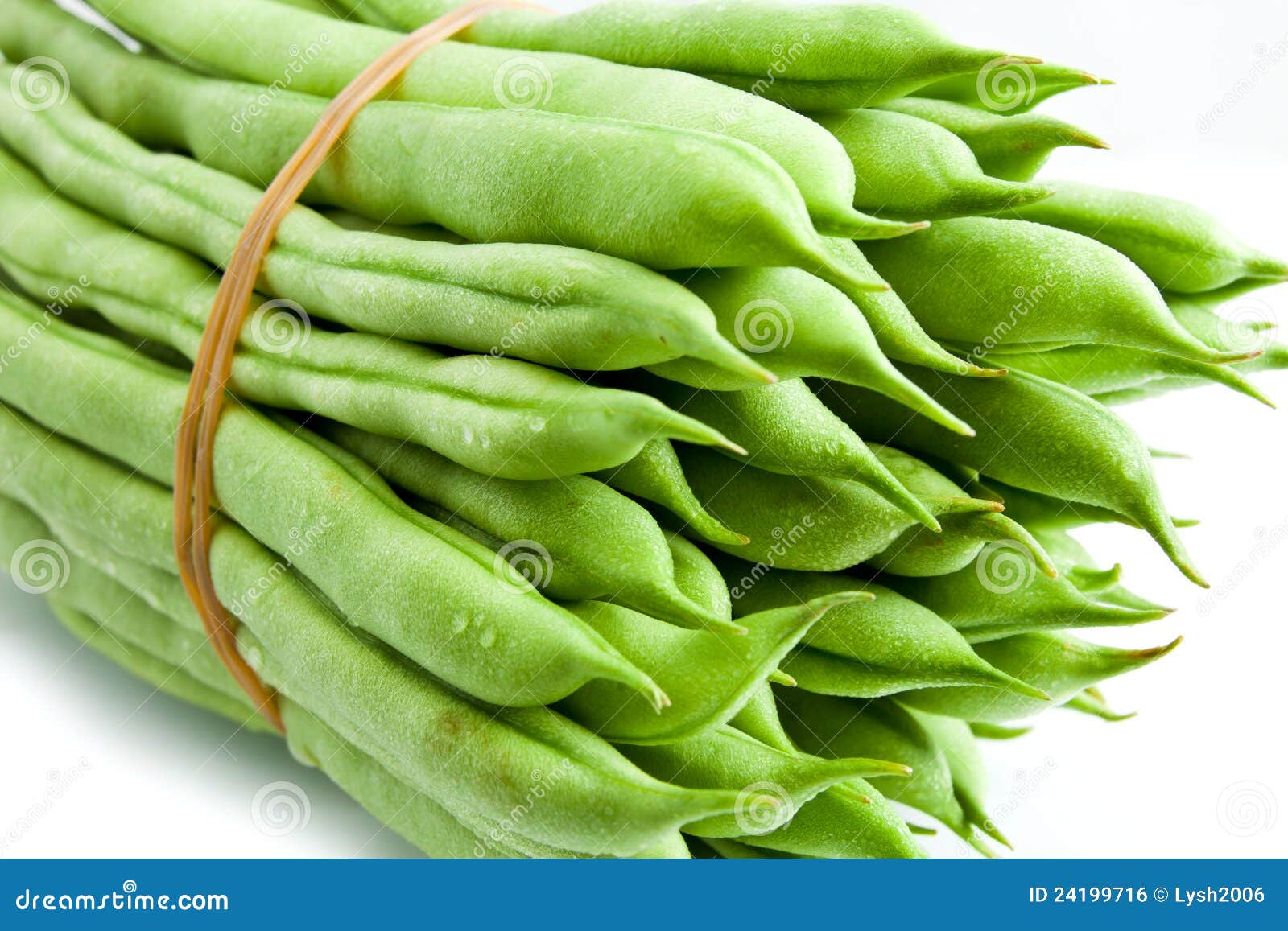 String beans stock photo. Image of kidney, food, close - 24199716