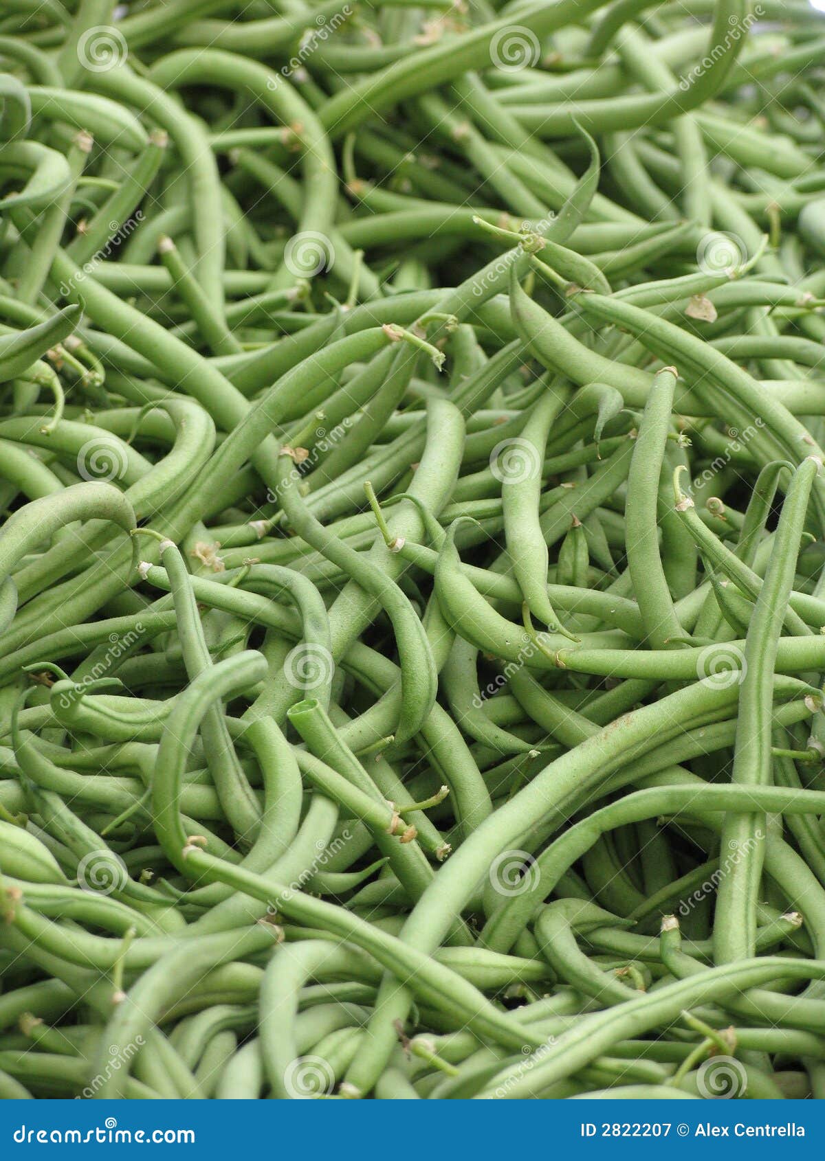 String Beans stock image. Image of haelth, farming, string - 2822207