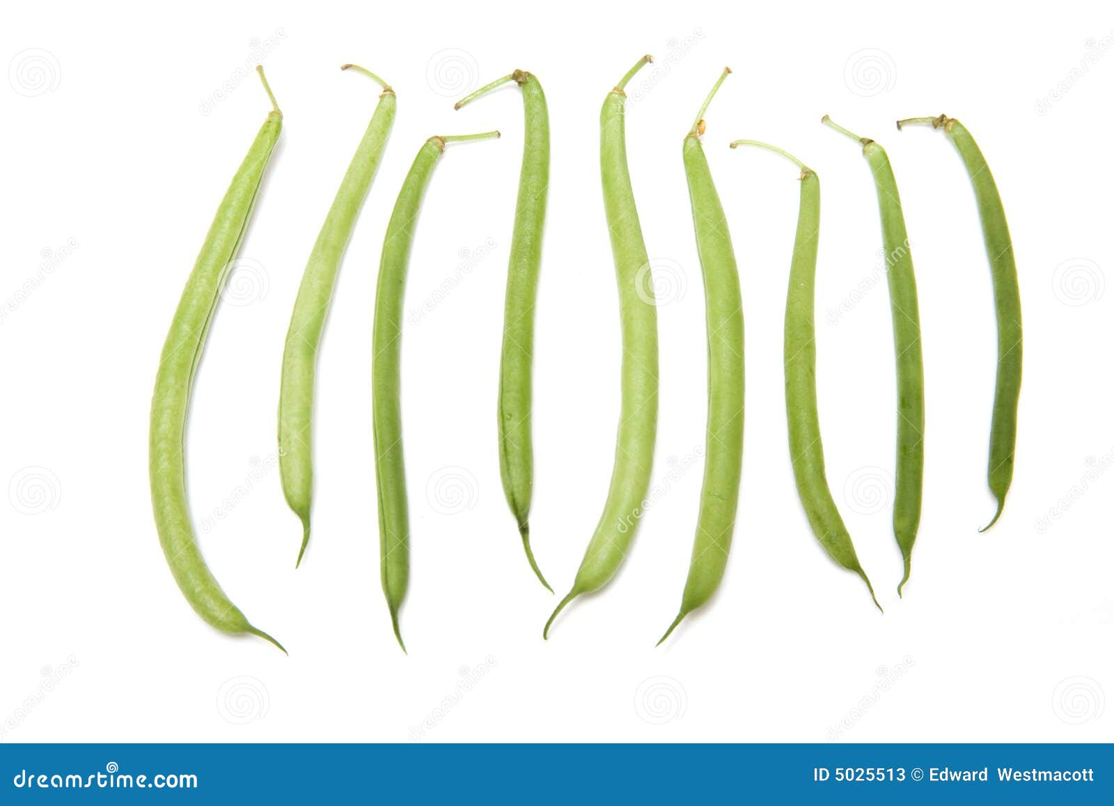 String beans stock image. Image of healthy, nature, long - 5025513