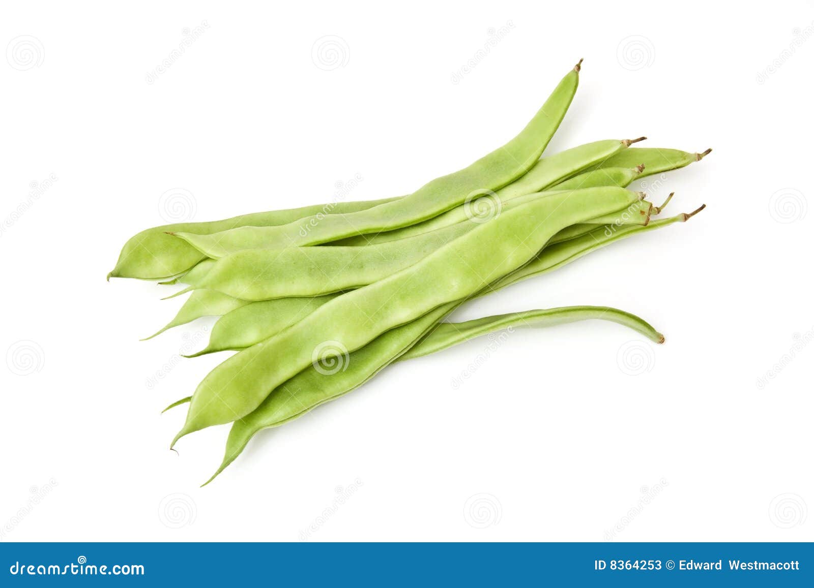 String beans stock image. Image of isolated, vegetable - 8364253