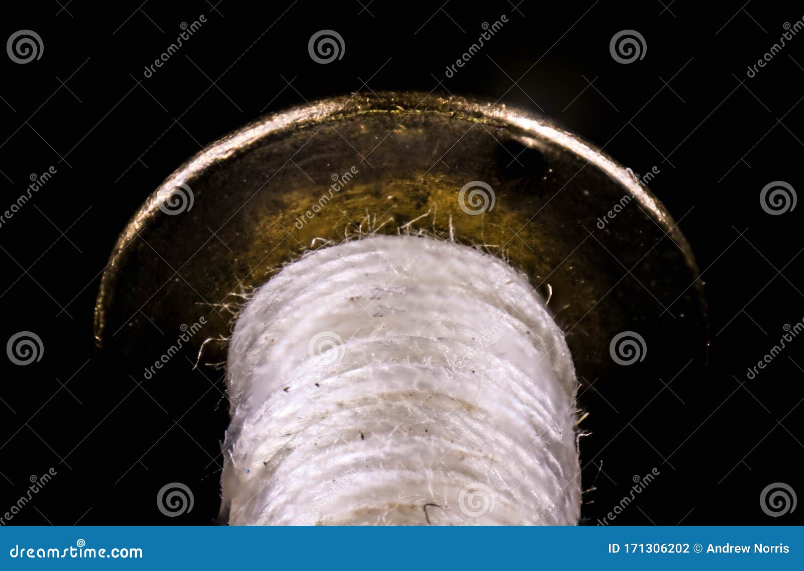 String Bobbin Closeup stock photo. Image of sewing, crafts - 171306202